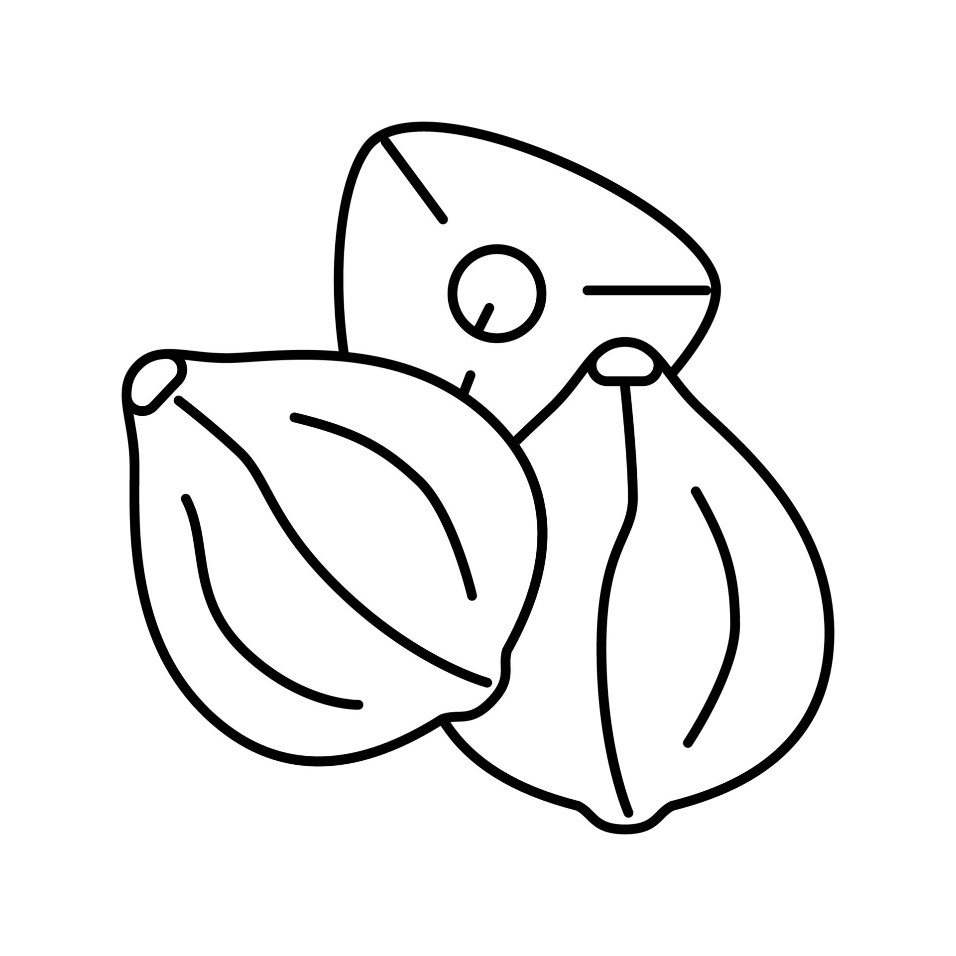buckwheat seed line icon vector illustration 19591314 Vector Art at ... buckwheat seed line icon vector illustration 19591314 Vector Art at ...