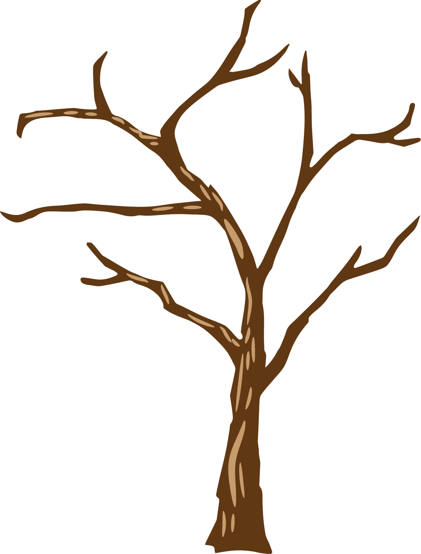 Tree png graphic clipart design 19603971 PNG