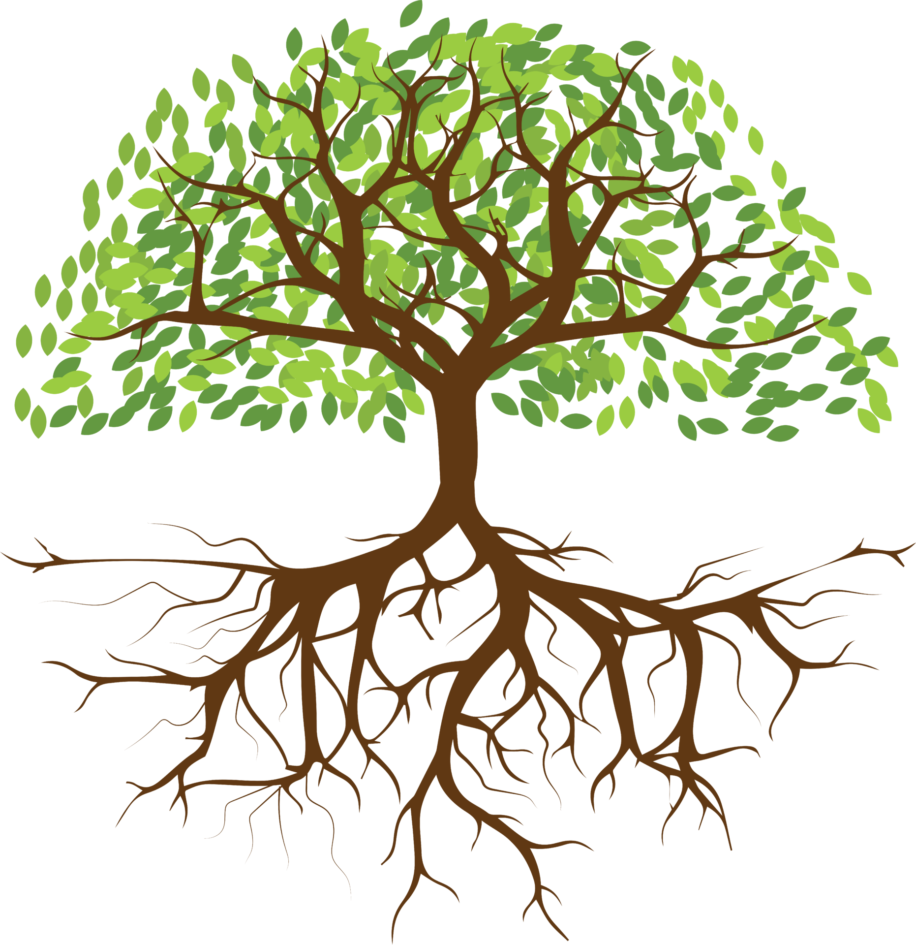 Tree png graphic clipart design 19607536 PNG