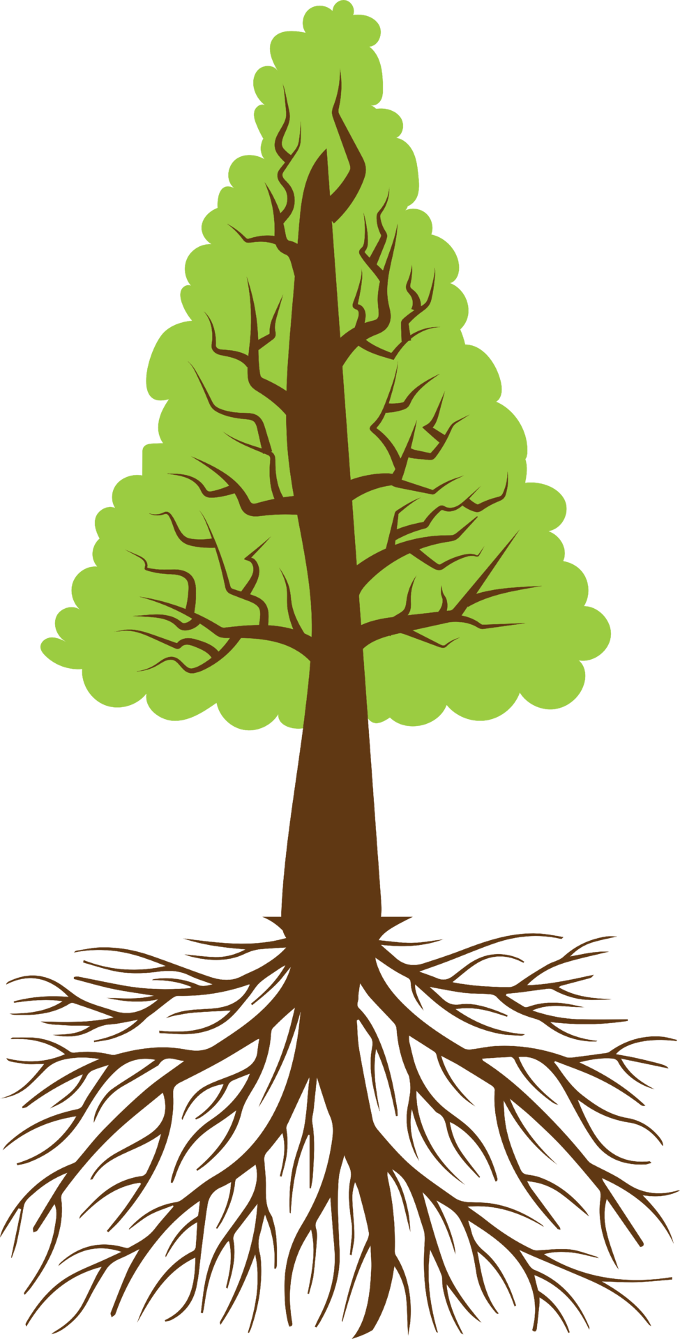 Tree png graphic clipart design 19613243 PNG