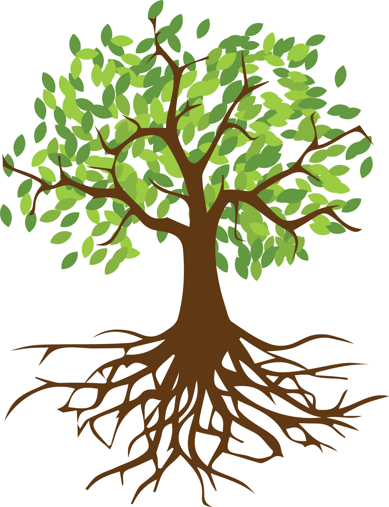 Tree png graphic clipart design 19613284 PNG