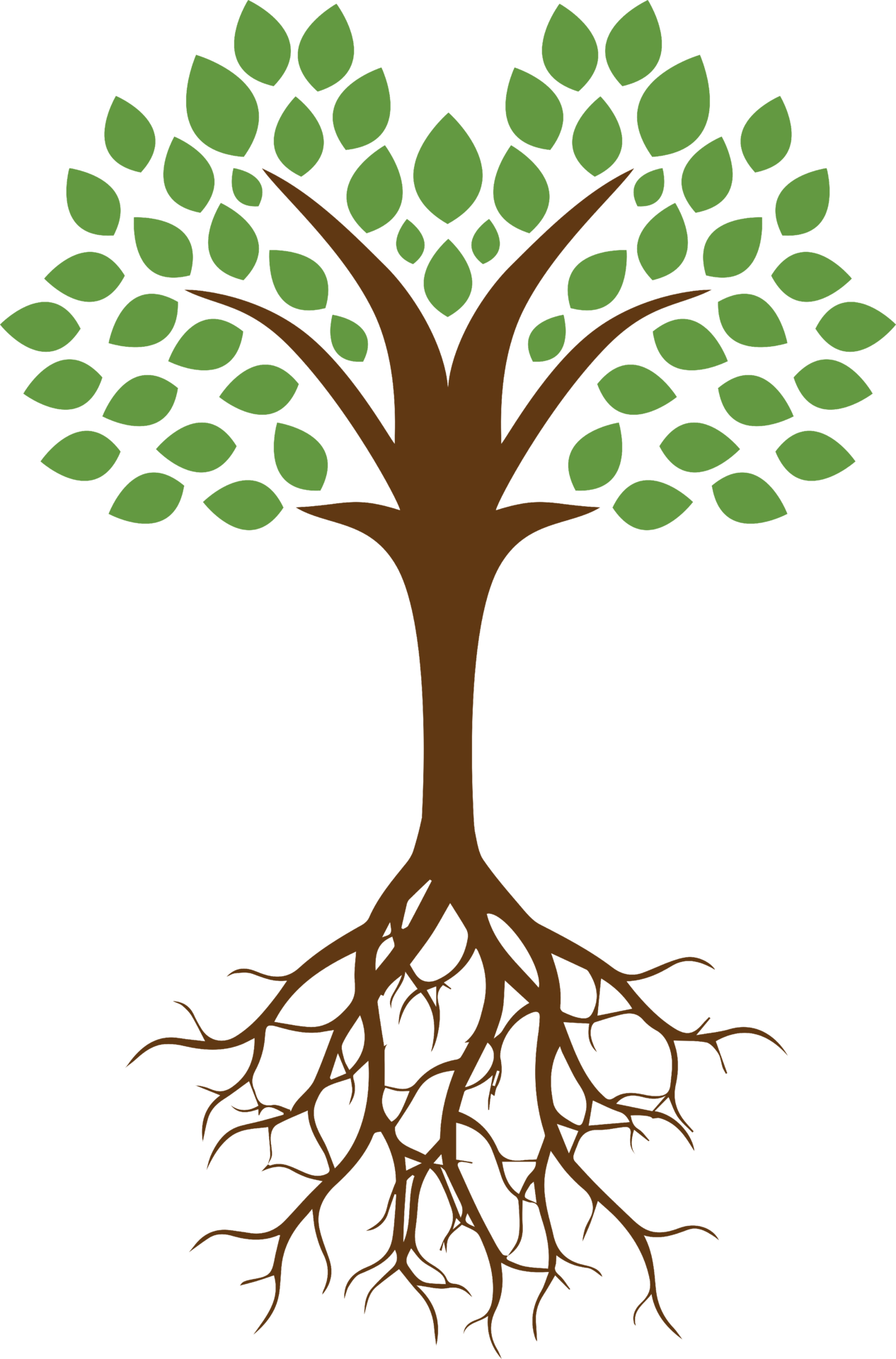 Tree png graphic clipart design 19613641 PNG