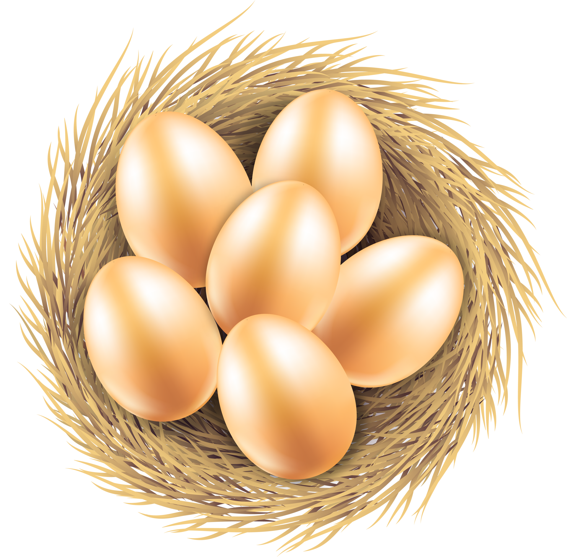 Chicken Egg Nest 19617096 Png