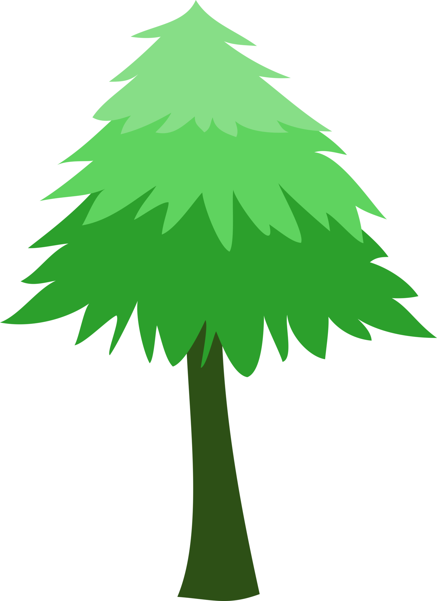 Pine Tree Png 19636588 Png