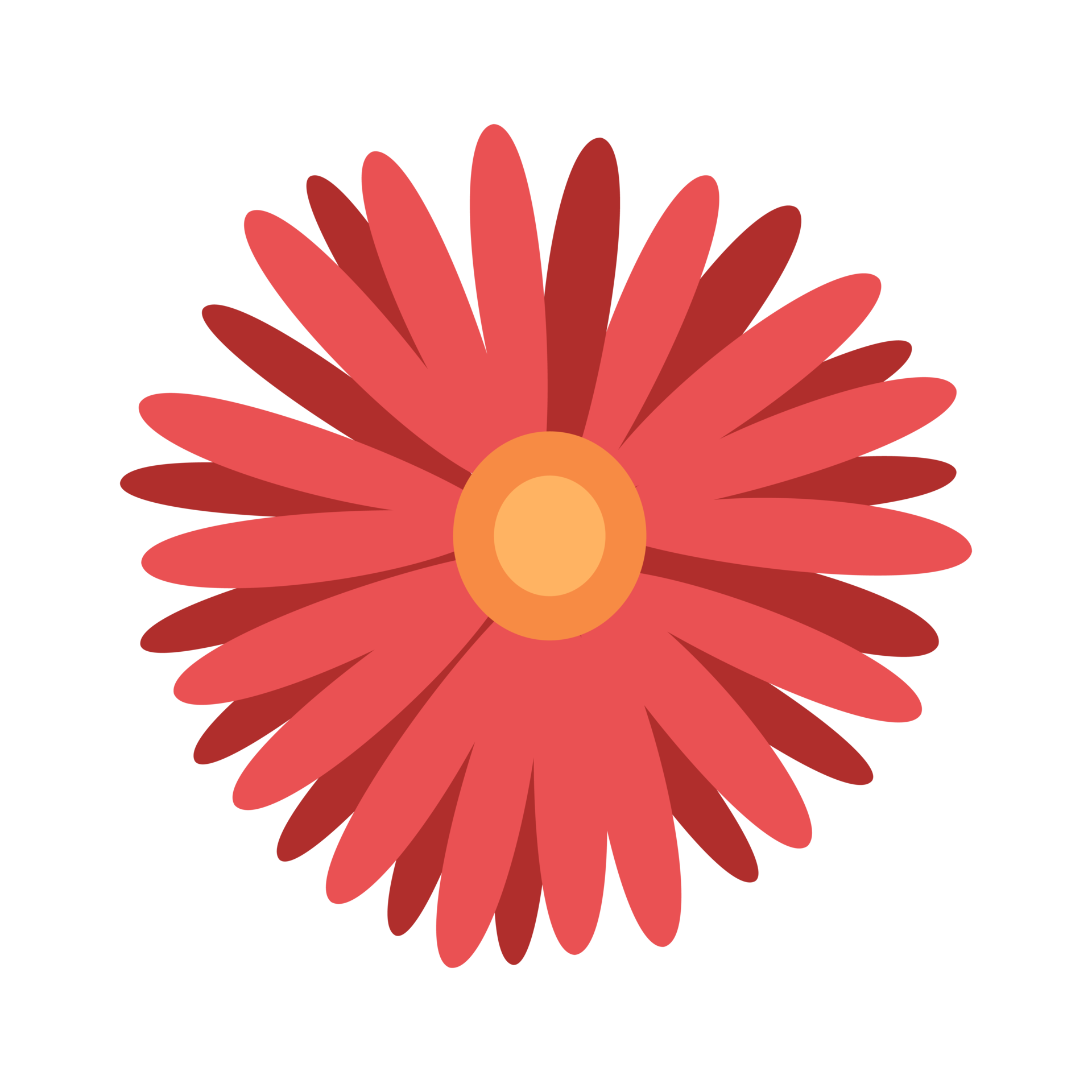 Red Daisy Flower Element 19646841 Png
