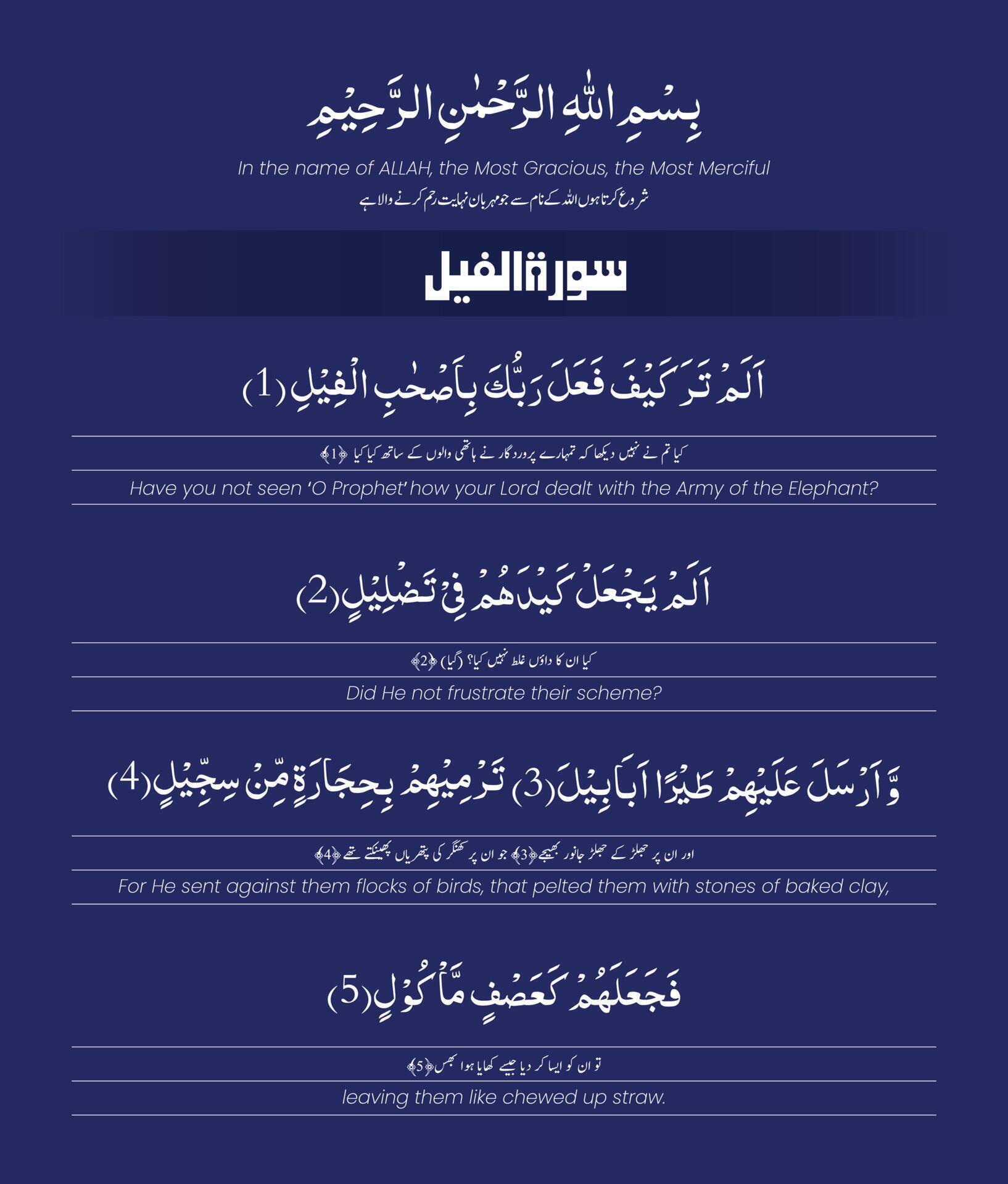 Surah Feel with English and Urdu Translation 19771800 Vector Art at ... Surah Feel with English and Urdu Translation 19771800 Vector Art at ...