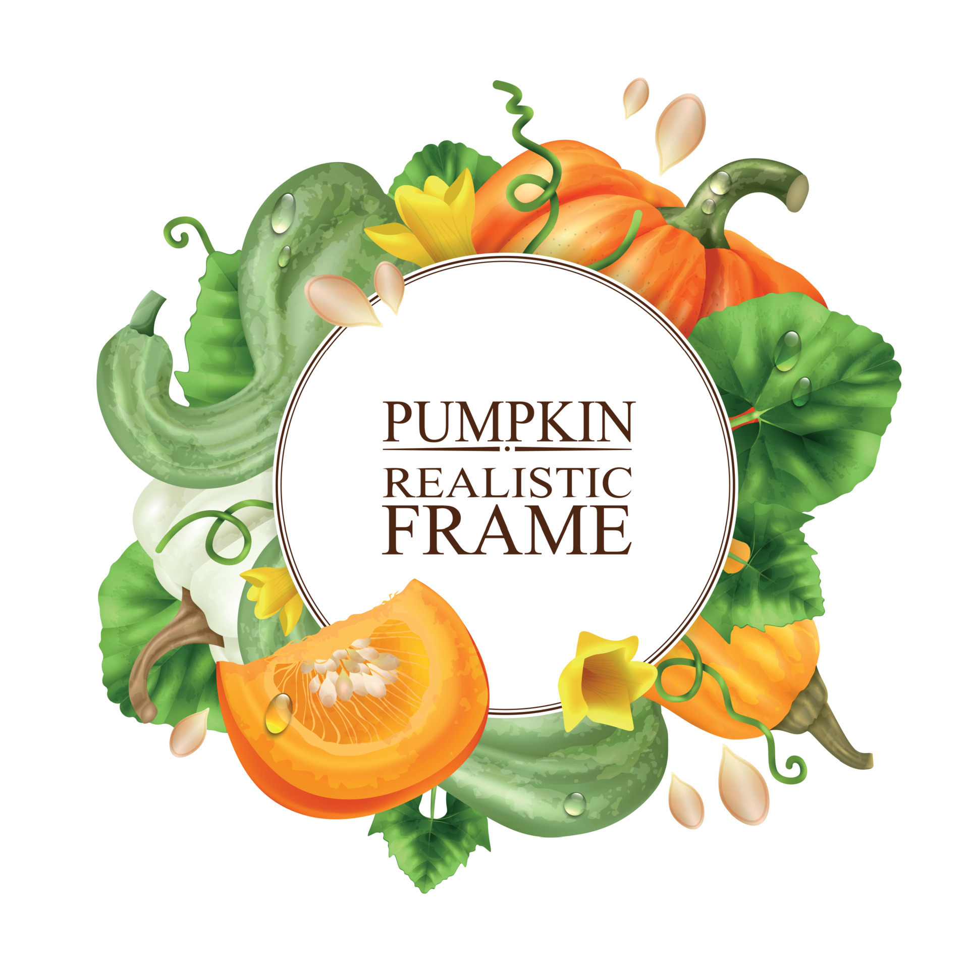 Realistic Pumpkin Frame 19774443 Vector Art at Vecteezy