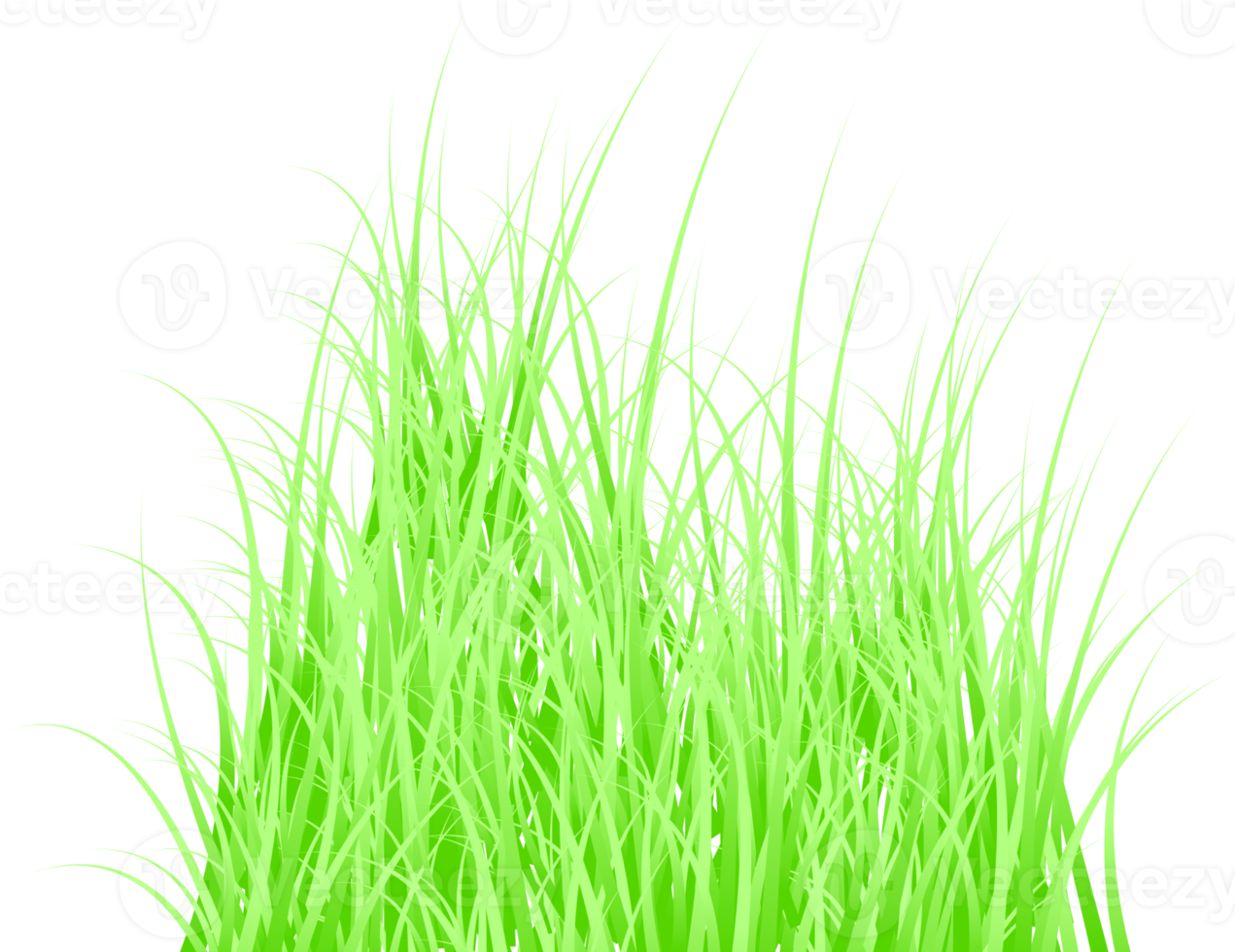 Green Grass Png 19777139 Png