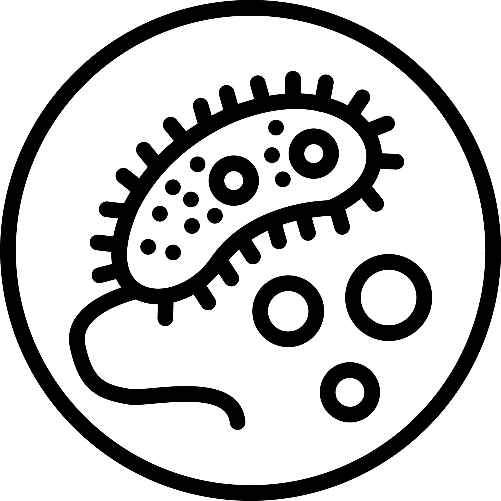 Bacteria Vector Icon 19811962 Vector Art At Vecteezy