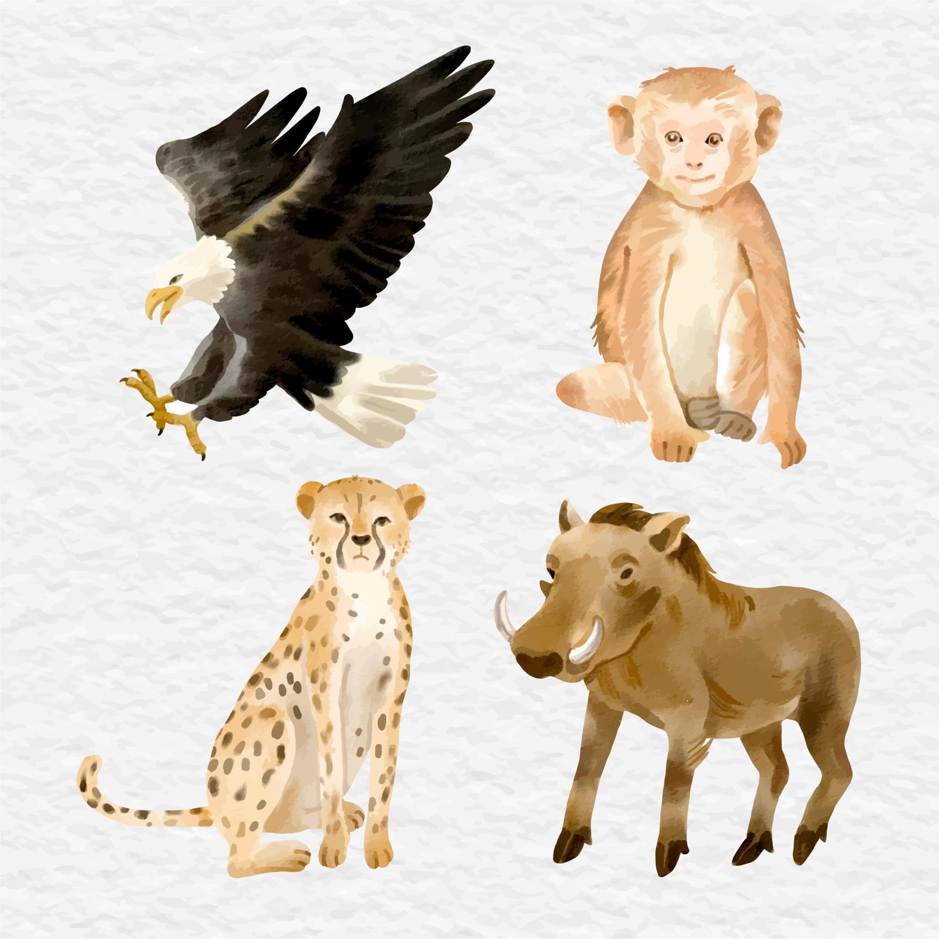 watercolor wild animal clip art element safari 19815477 Vector Art at ...