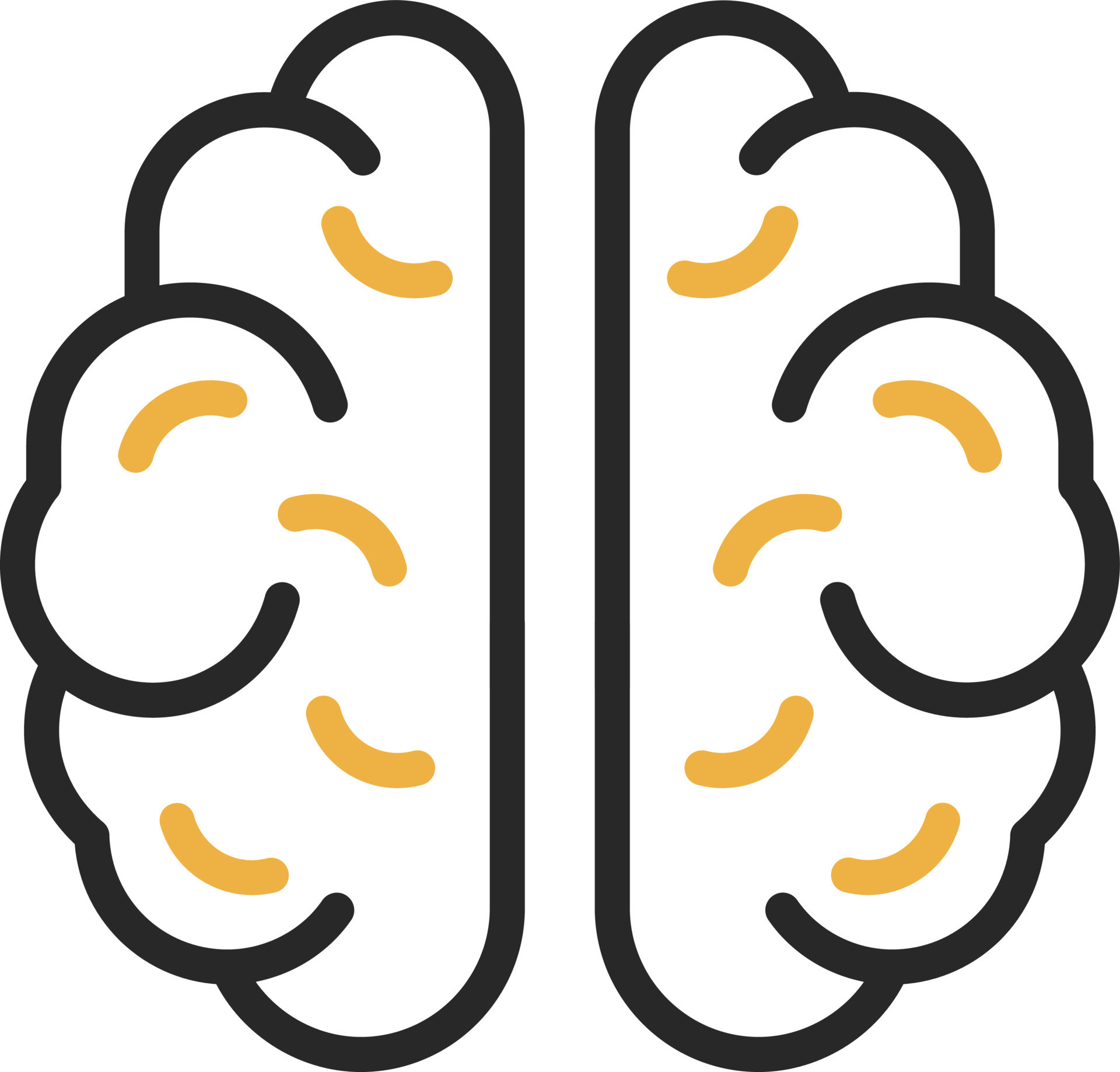 Neuroscience Vector Icon Design 19828239 Vector Art At Vecteezy