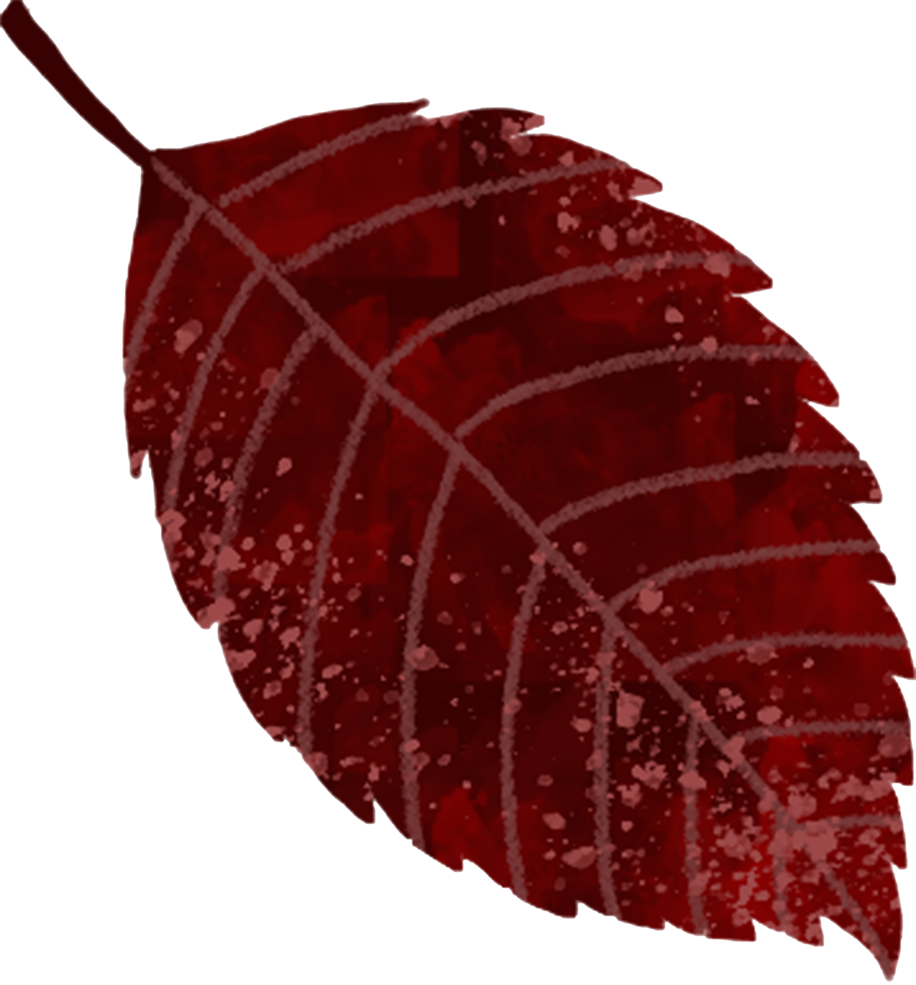 Free Watercolor Autumn Leaves Clipart - Fall Leaves - Leaf Variety ...