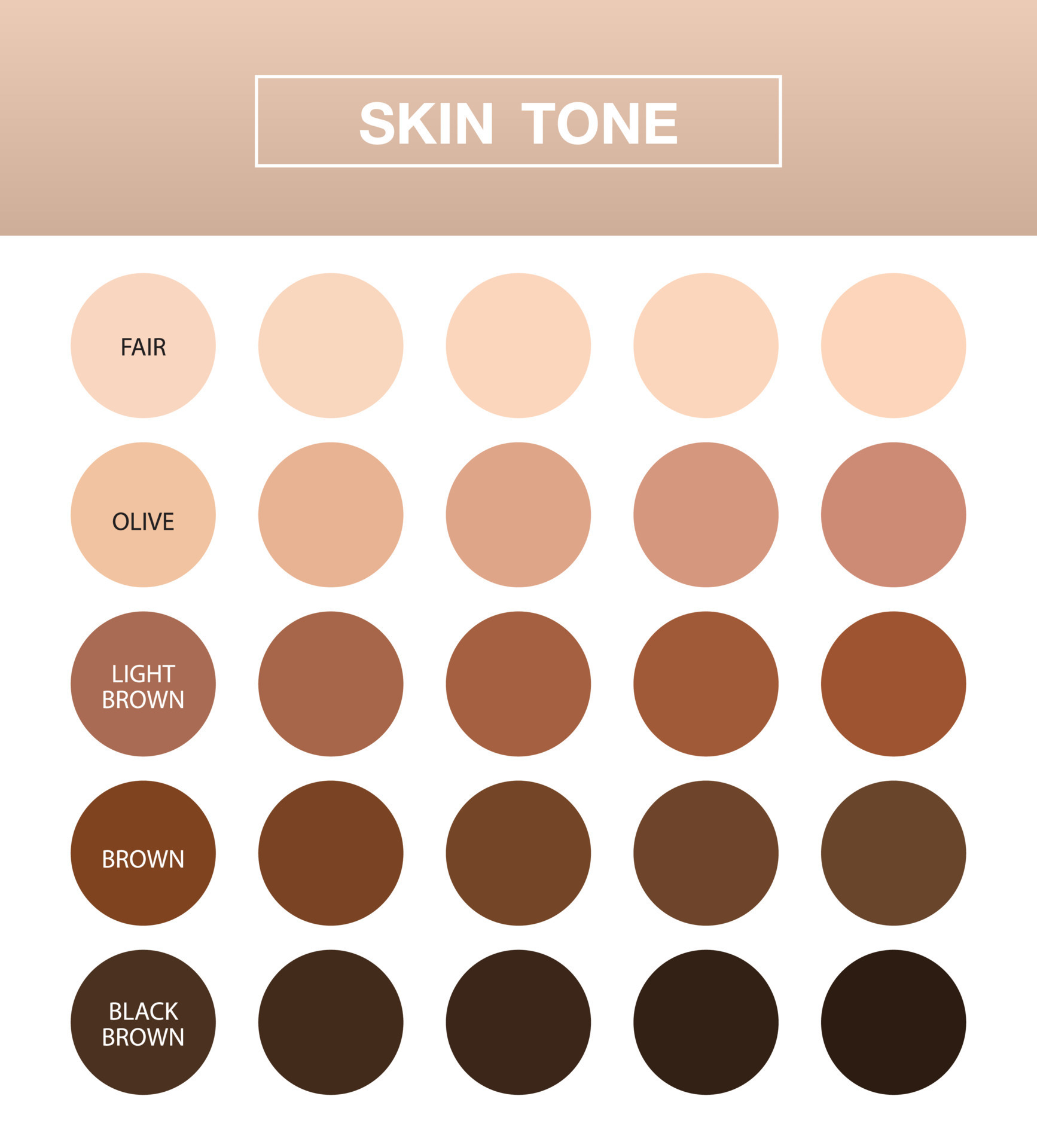 Human Skin Color Chart Human Skin Color Chart