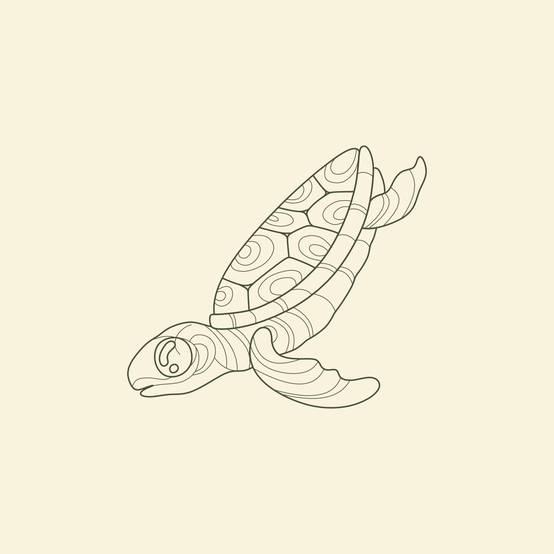 Turtle Line art Vector. Turtle Line art Graphic design for coloring ...