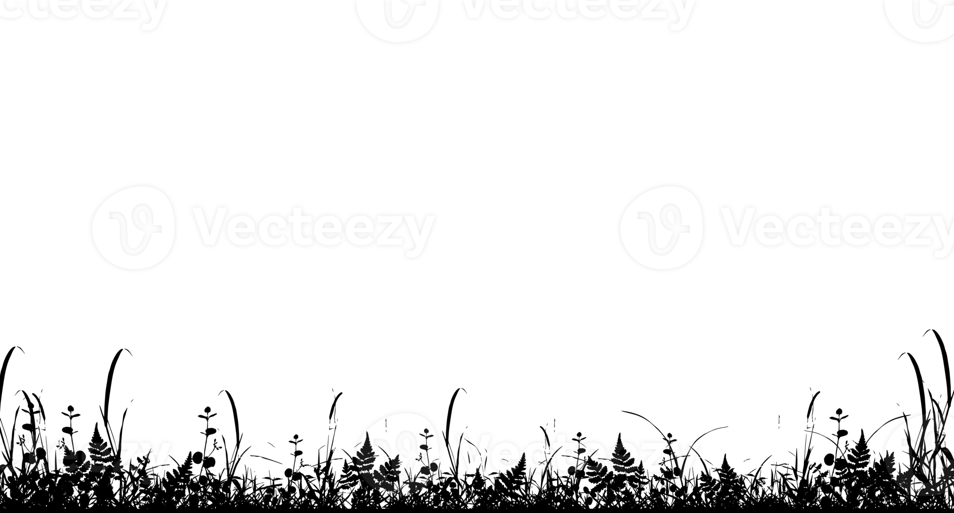 Grass natural silhouette as background. Transparent background ...