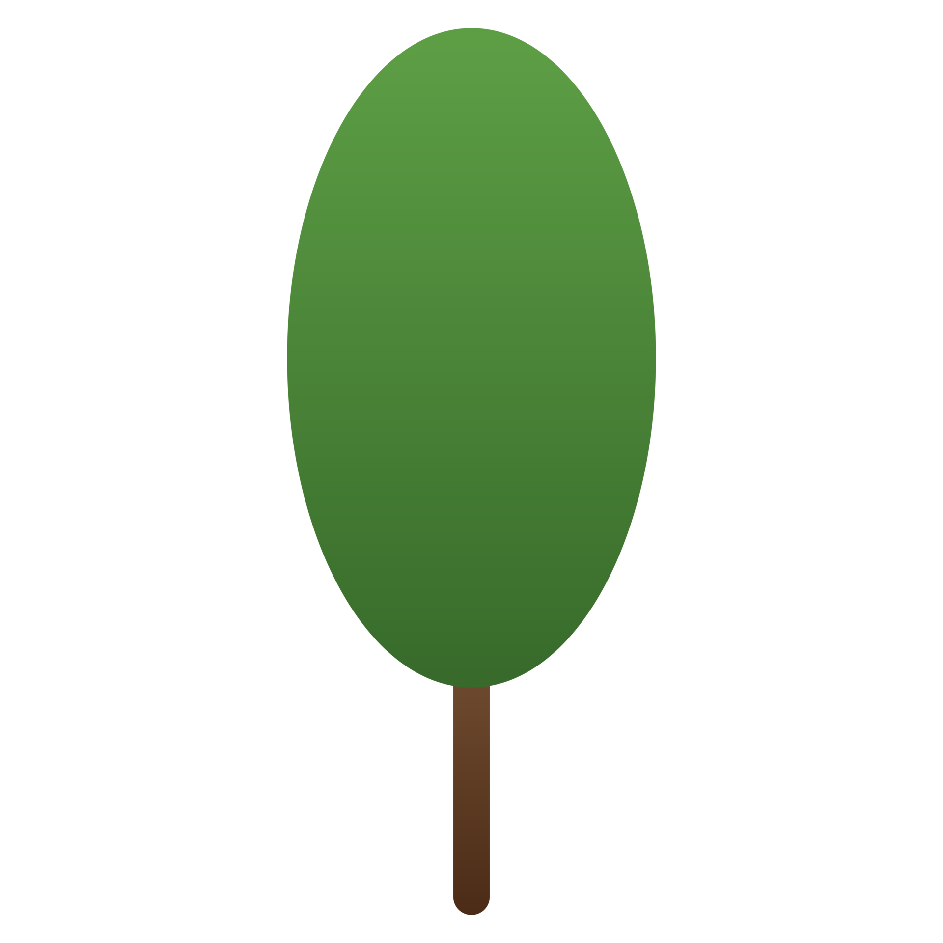 árbol O Planta Bosque Planta Y Arboles 19862315 Png