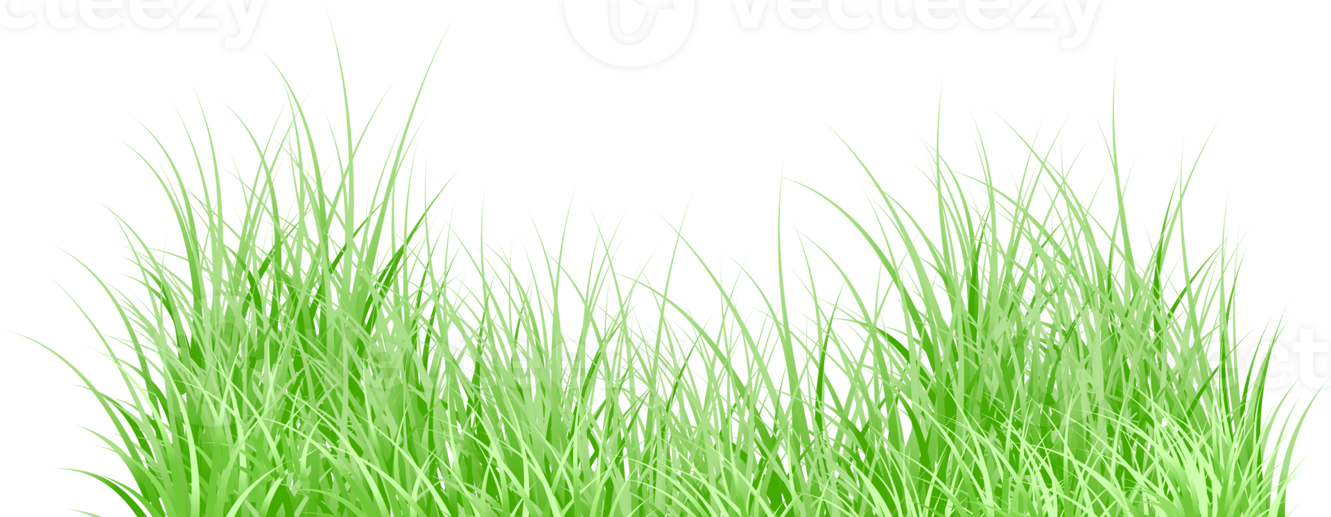 Green Grass Png 19873292 Png