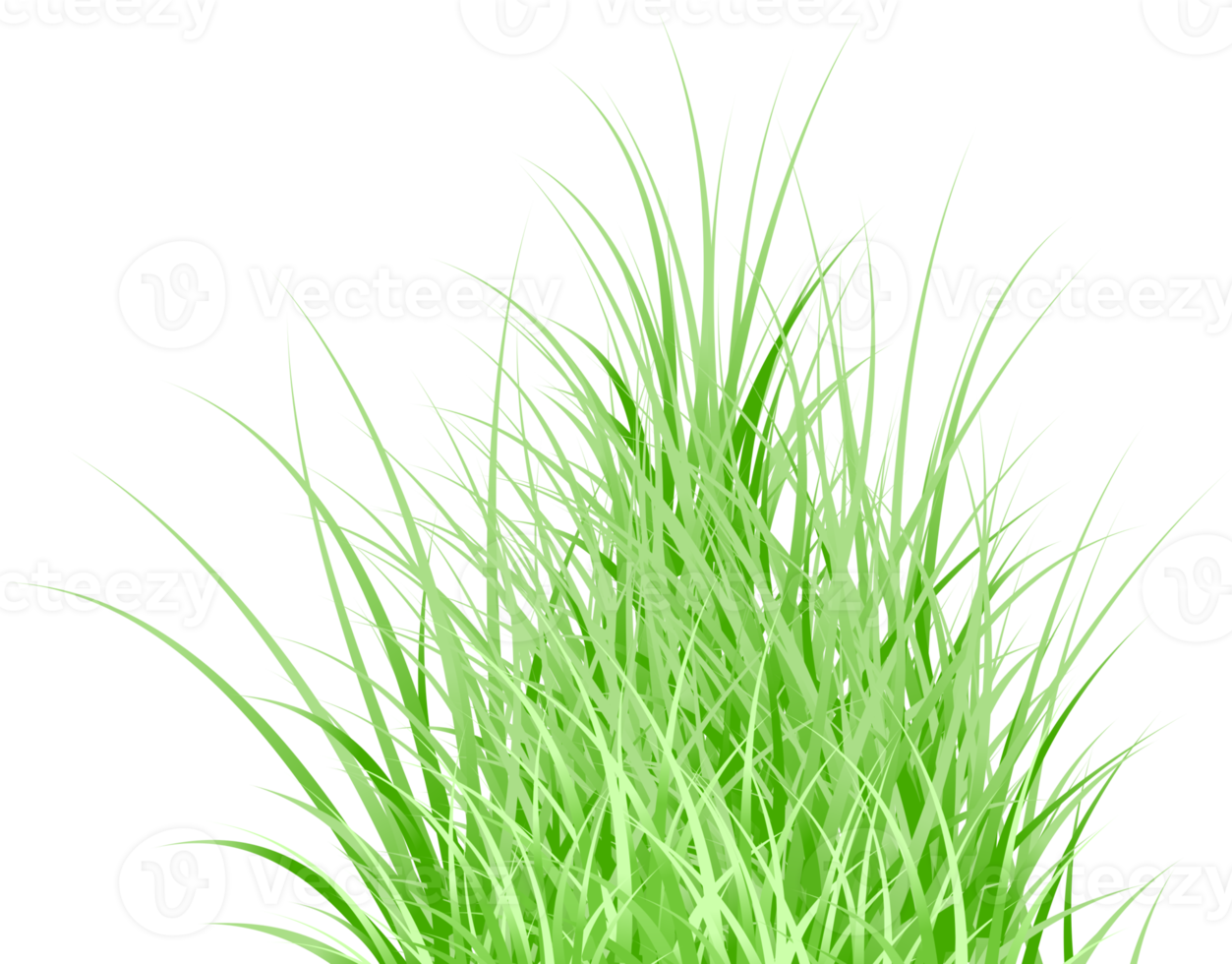 Green Grass Png 19873293 Png