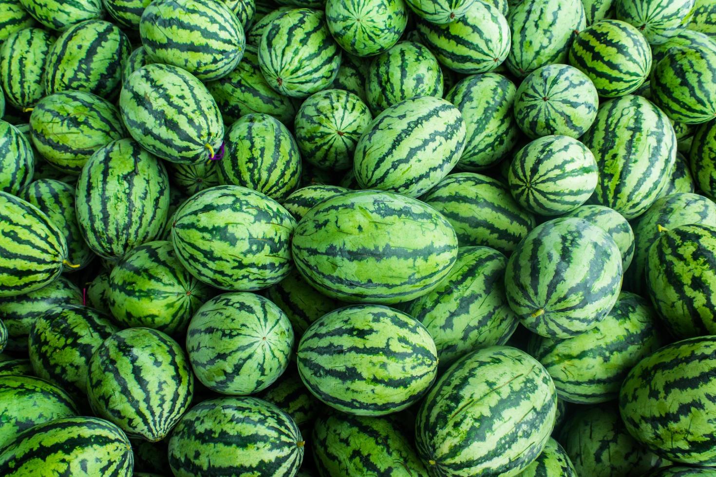 many green sweet watermelon group 19884891 Stock Photo at Vecteezy many green sweet watermelon group 19884891 Stock Photo at Vecteezy