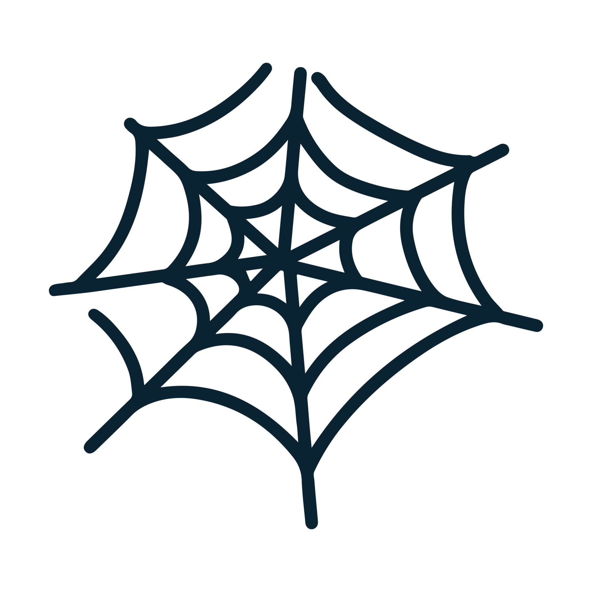 illustration of a simple spider web 19899751 PNG illustration of a simple spider web 19899751 PNG