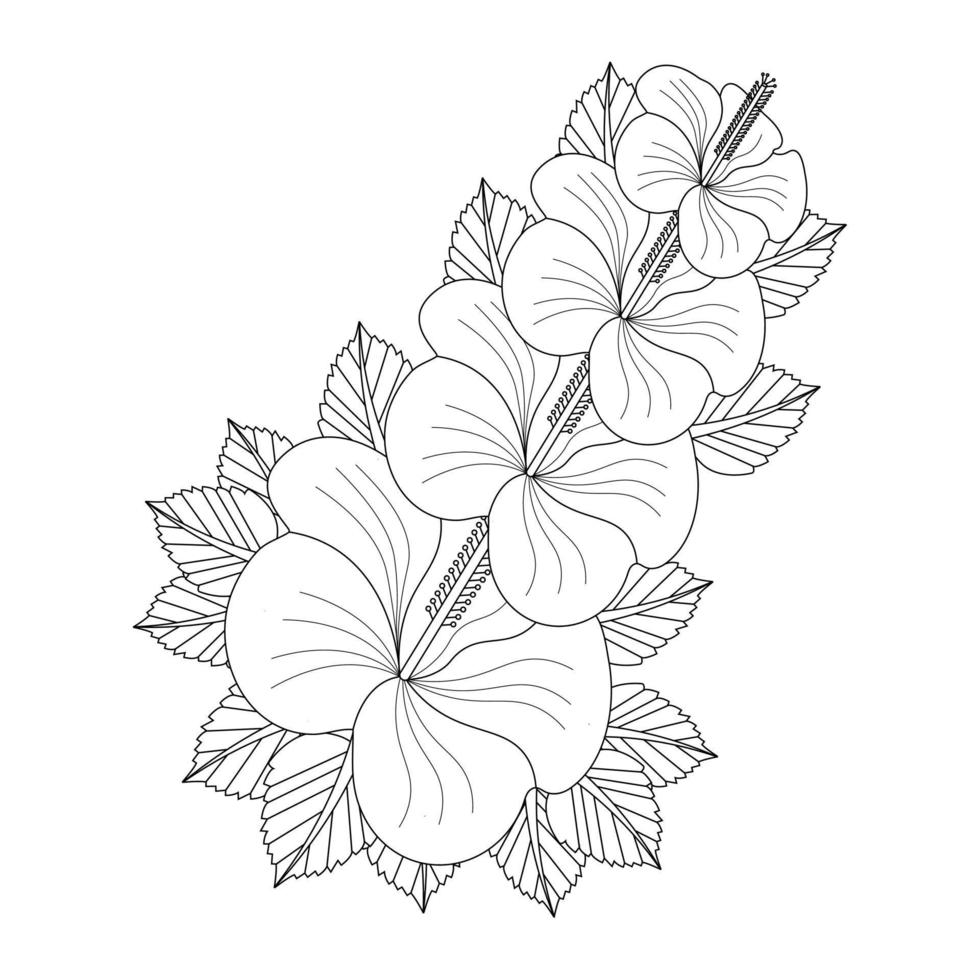 Hibiscus Flower Coloring Page And Book Illustration Line Art 19902714 Vector Art At Vecteezy