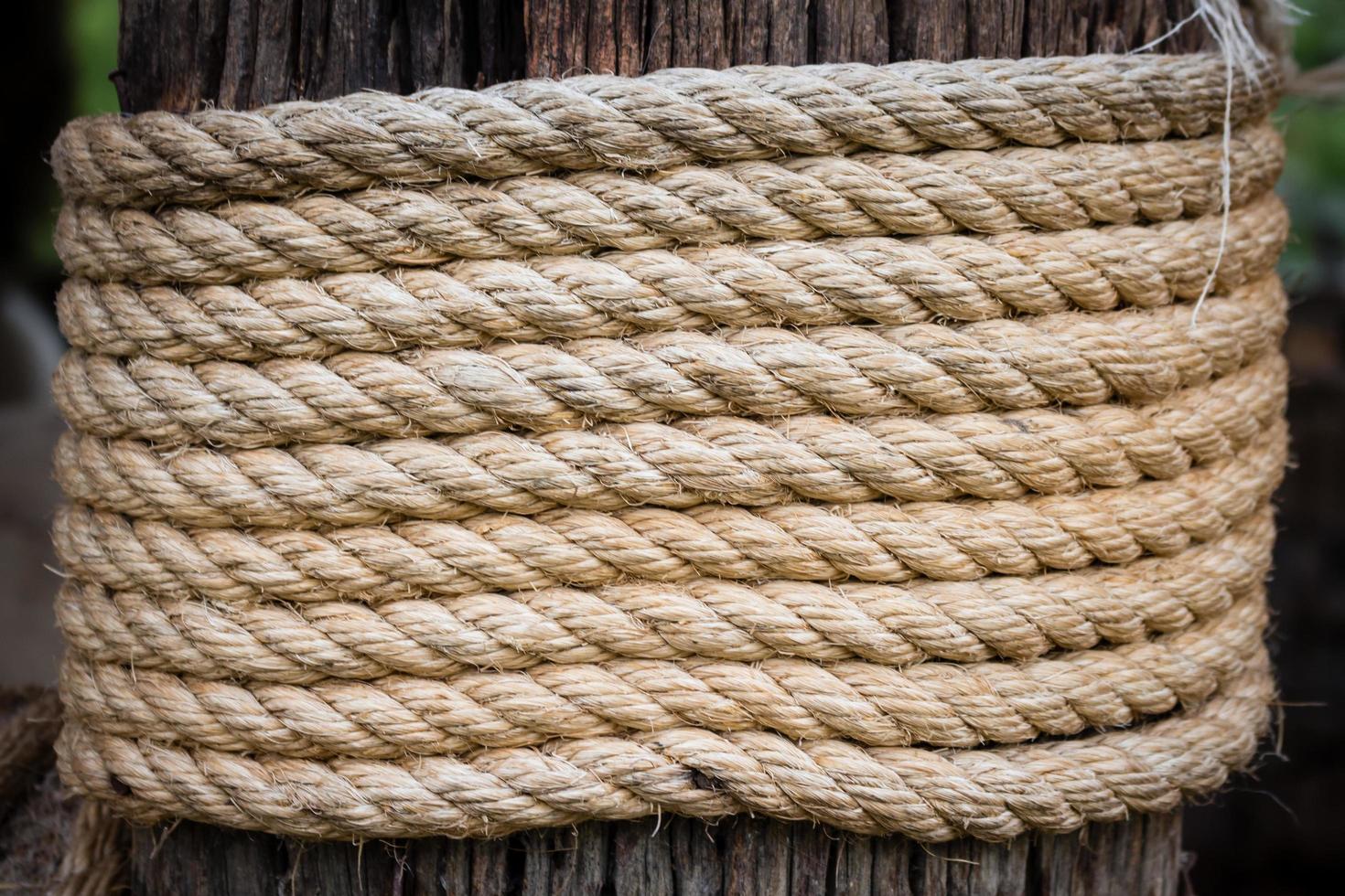 Wood Rope Stock Photos, Images and Backgrounds for Free Download
