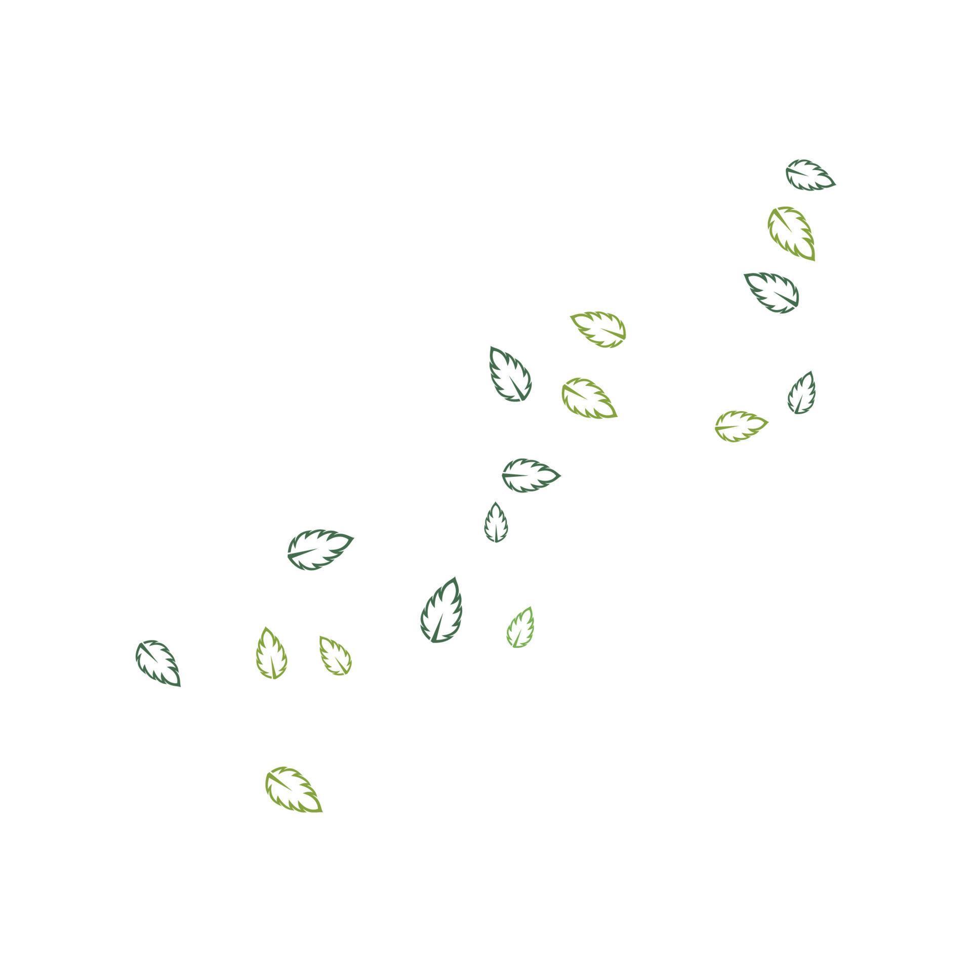 Set Of Abstract Leaf Background Template Vector Illustration 19952192 Vector Art At Vecteezy