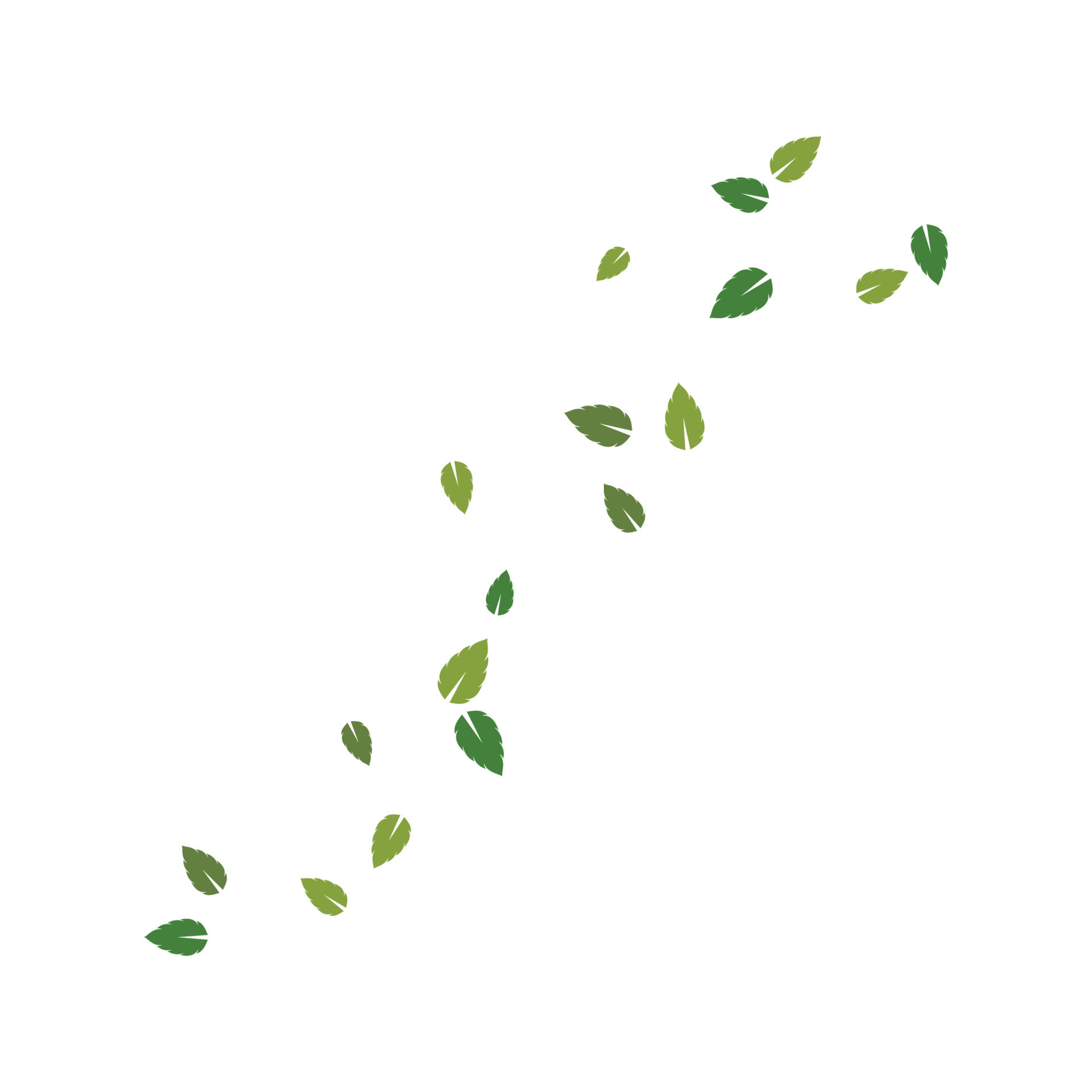 Set Of Abstract Leaf Background Template Vector Illustration 19952261 Vector Art At Vecteezy