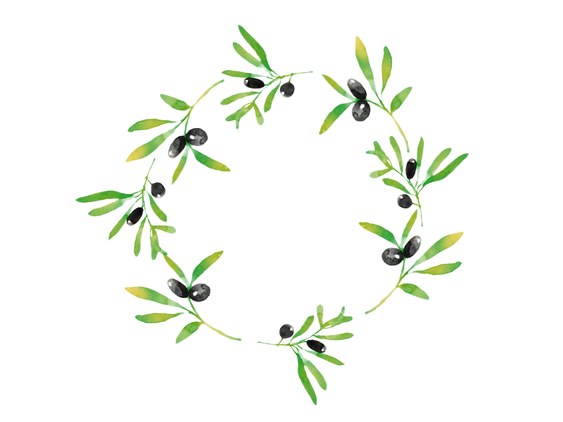 Free Watercolor olive wreath 19986175 PNG with Transparent Background Free Watercolor olive wreath 19986175 PNG with Transparent Background