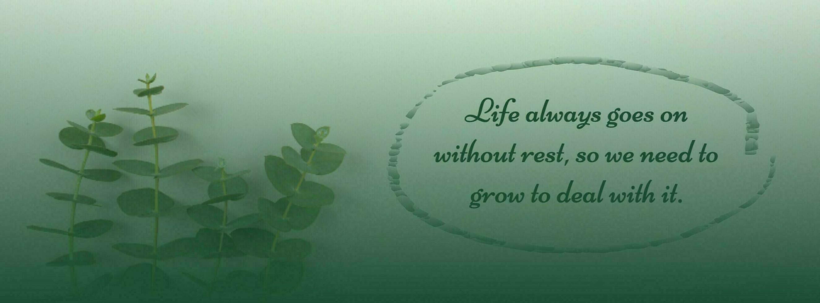 Green Minimalist Life Quote Facebook Cover 20011196 Template Green Minimalist Life Quote Facebook Cover 20011196 Template