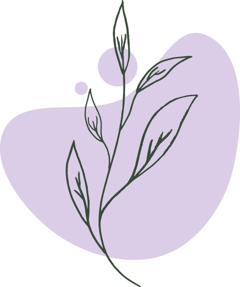 Free Hand Drawn Leaf Line Art With Aesthetic Shape Or Aesthetic Blob Simple Decoration 20027902