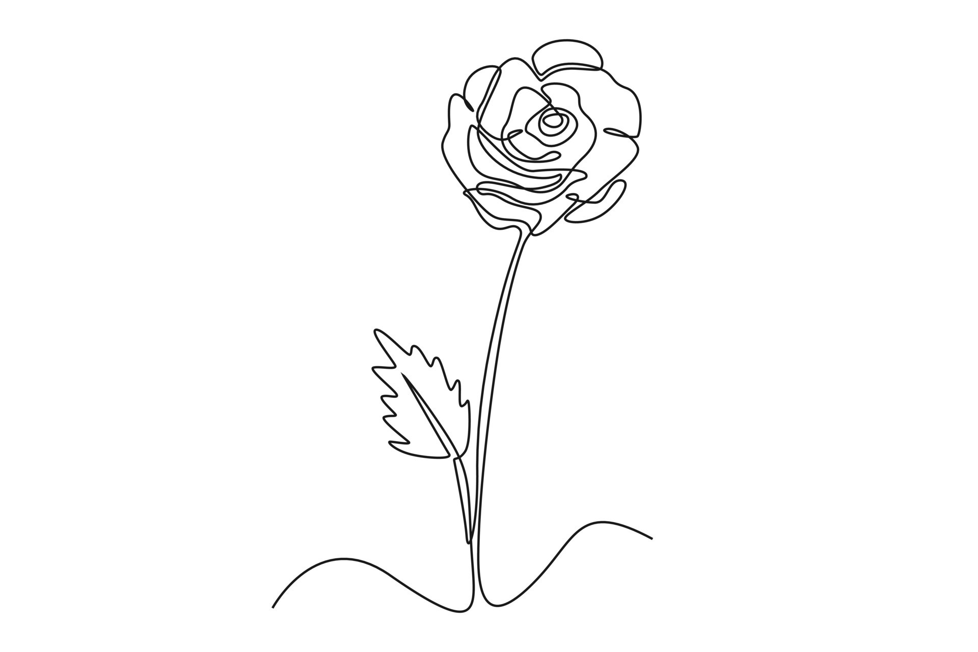 Single one line drawing Rose flower. Beautiful flower concept ... Single one line drawing Rose flower. Beautiful flower concept ...