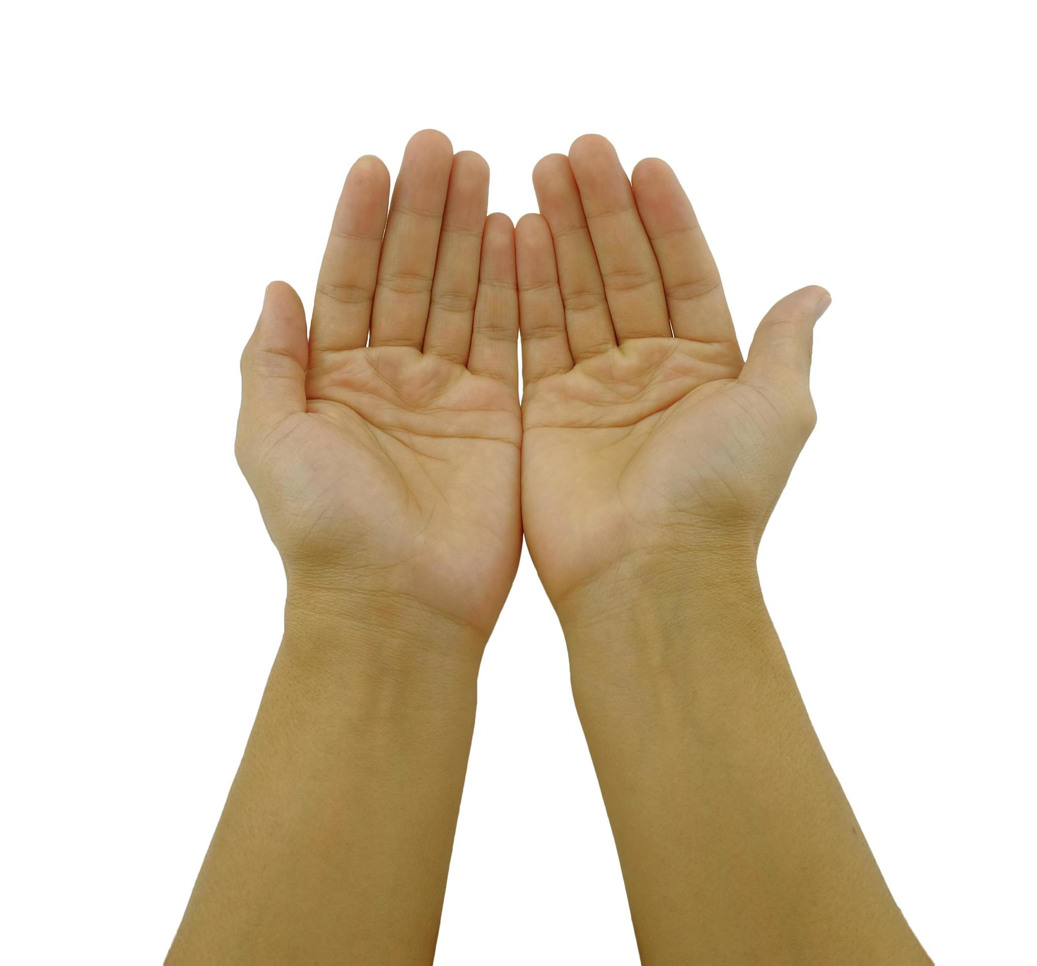 Hand Carry Something On White Background 20113276 Stock Photo At Vecteezy hand-carry-something-on-white-background-20113276-stock-photo-at-vecteezy