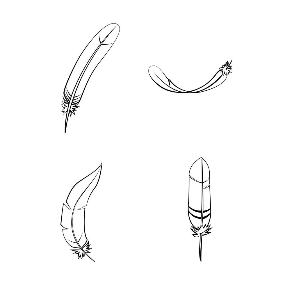 Feather symbol set collection 20122826 Vector Art at Vecteezy