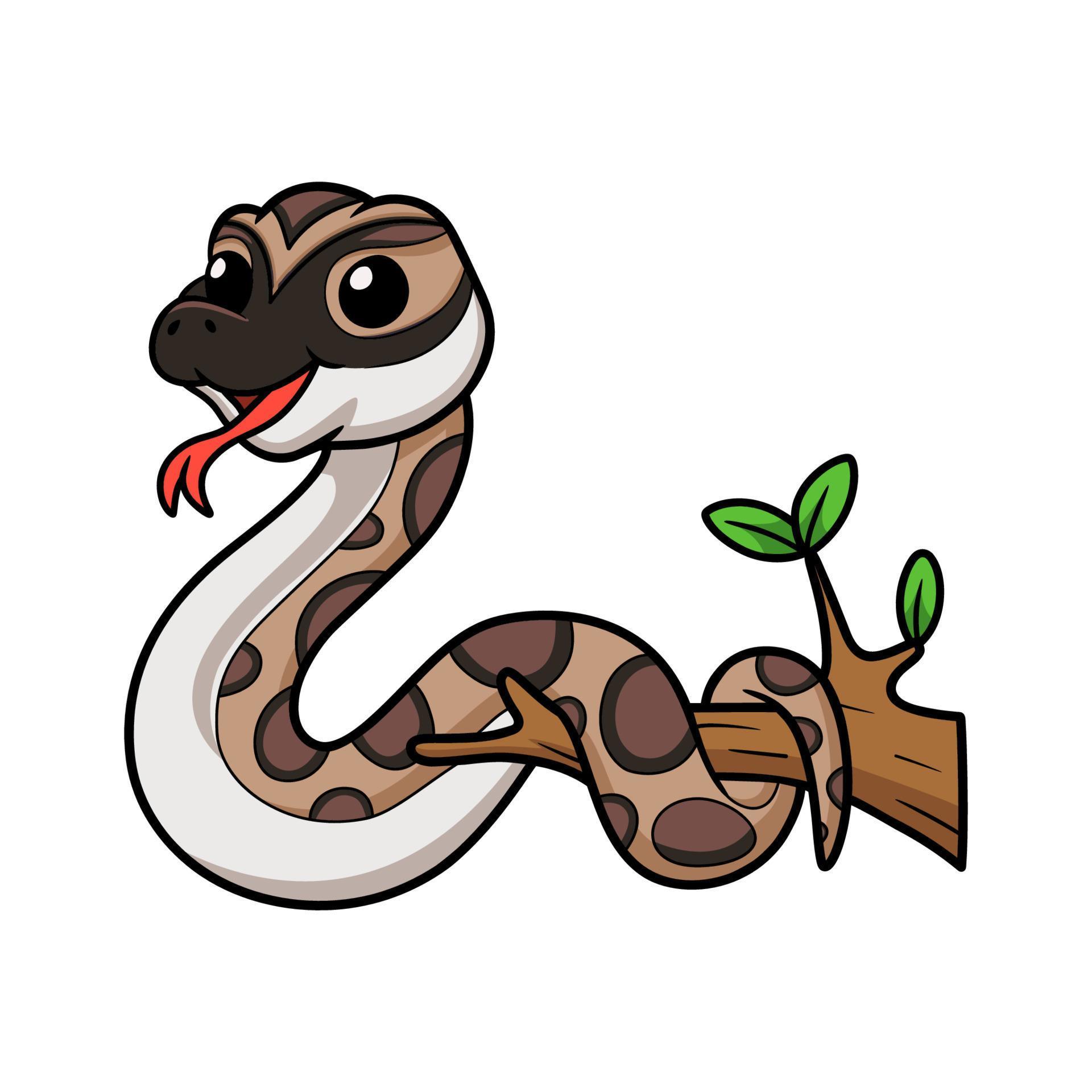 Cute Python Molurus Bivittatus Cartoon On Tree Branch 20126774 Vector