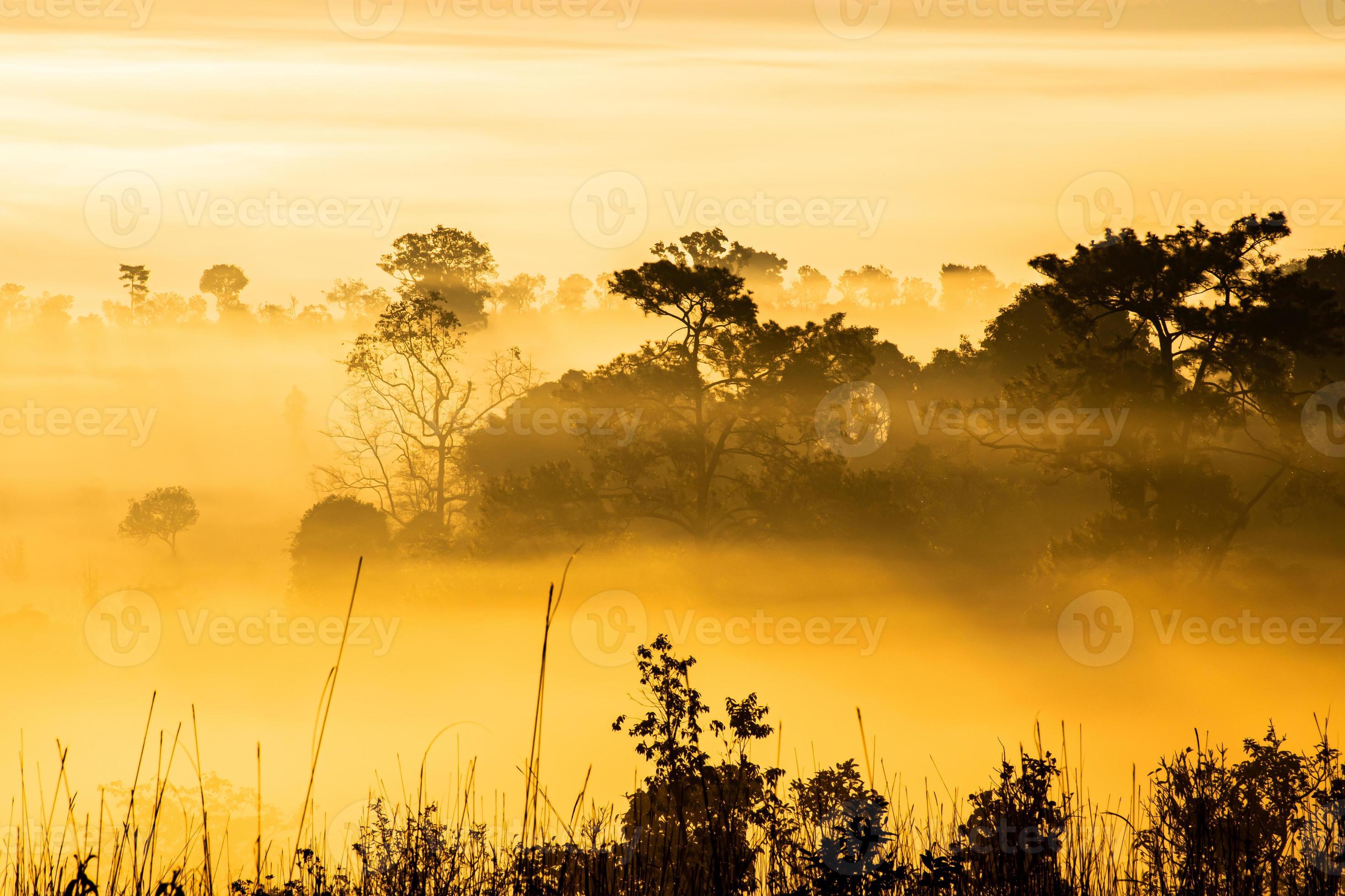 thung salaeng luang nacional parque, el Dom terminado el montañas y vasto pastizales, phetchabun ...