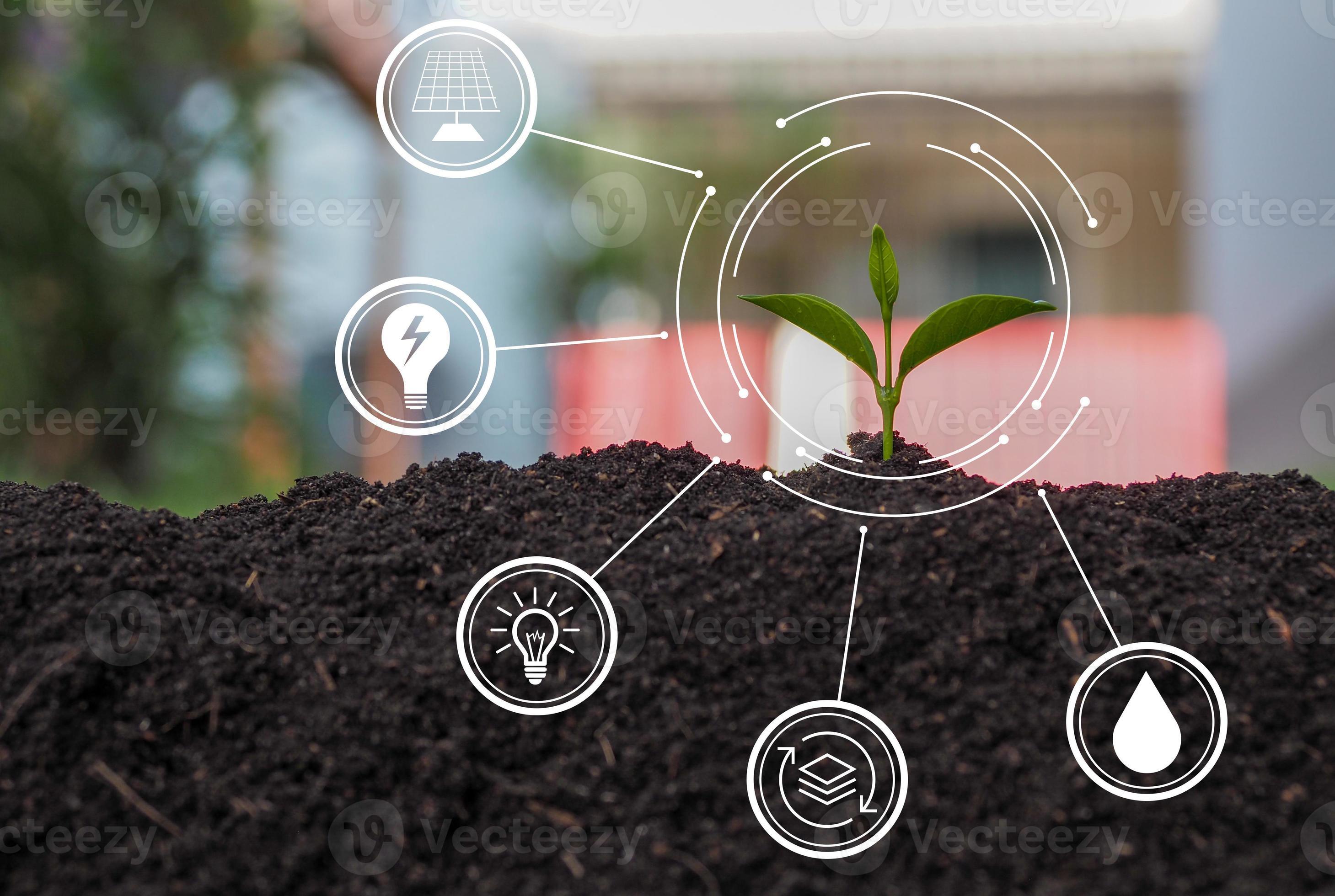 A sapling growing from fertile soil with an icon of the concept of earth and energy. eco concept ...