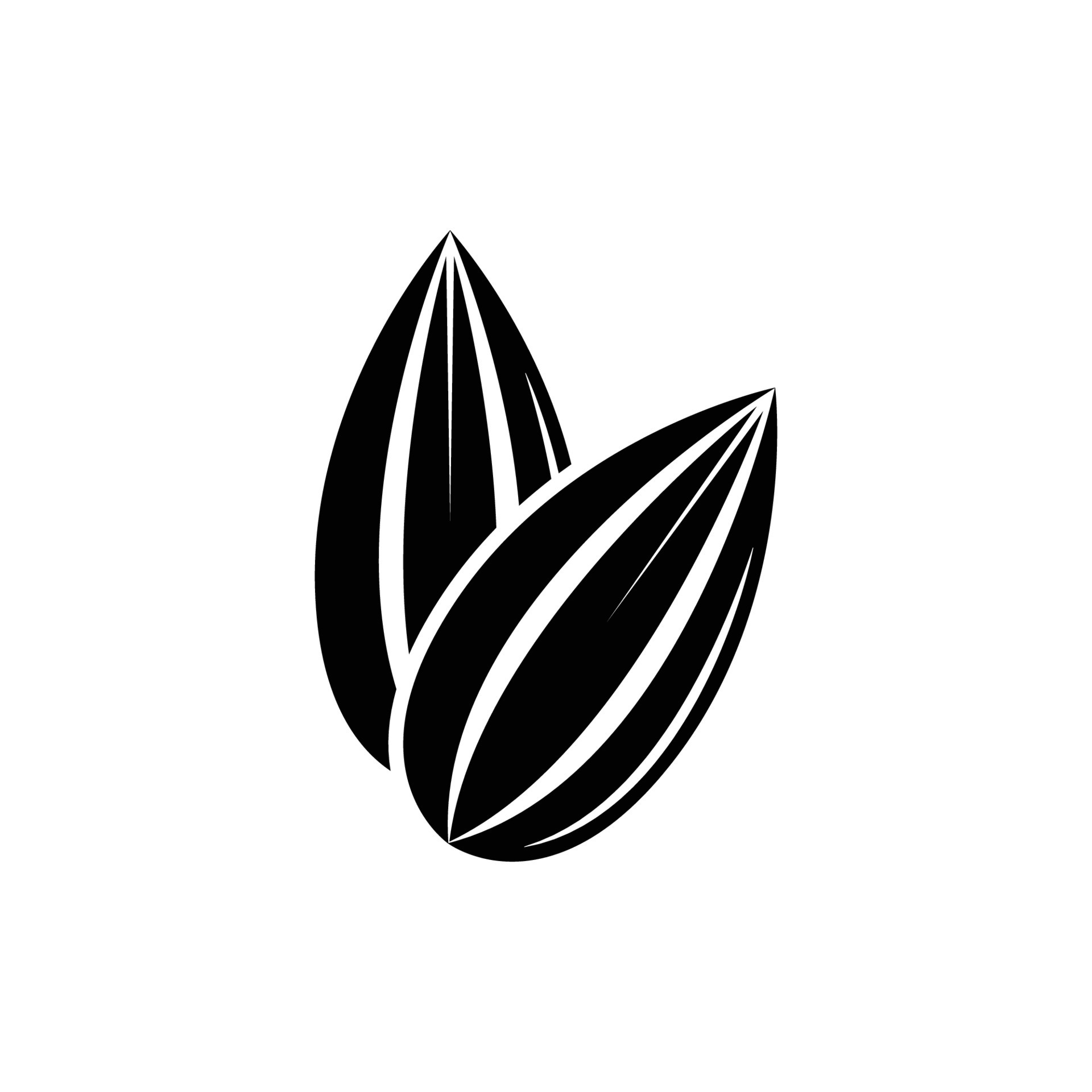 sunflower seeds icon vector 20190912 Vector Art at Vecteezy sunflower seeds icon vector 20190912 Vector Art at Vecteezy