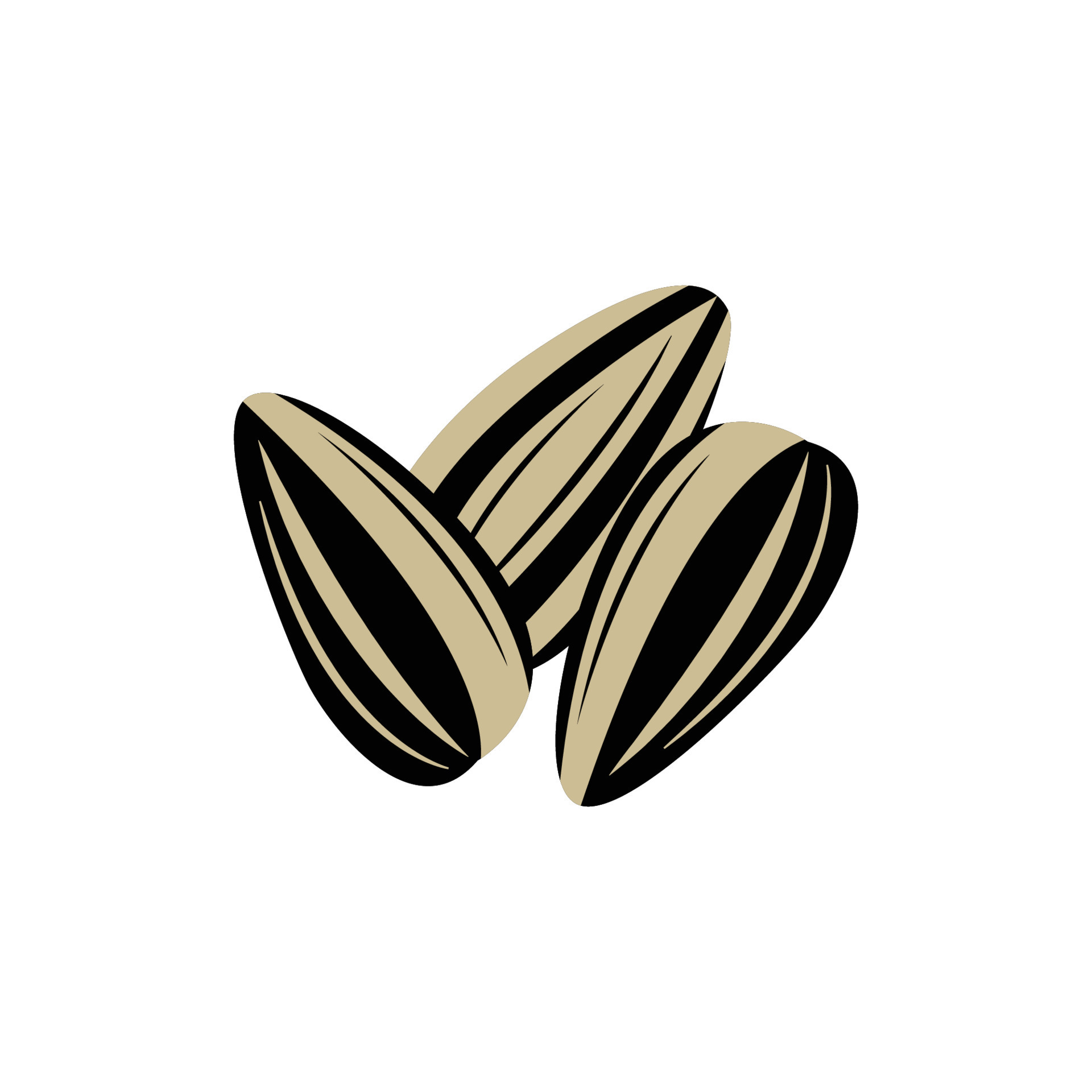 sunflower seeds icon vector 20191094 Vector Art at Vecteezy sunflower seeds icon vector 20191094 Vector Art at Vecteezy