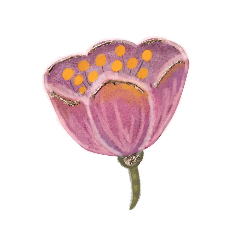 Watercolor pink flower isolated on white background 20200257 Vector Art ...