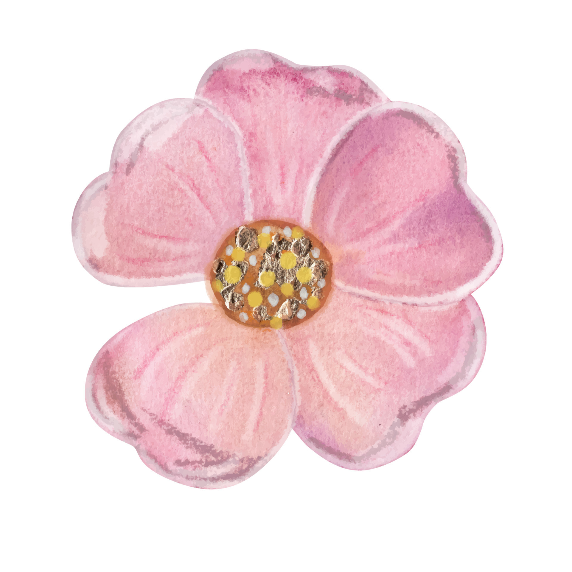 Watercolor pink flower isolated on white background 20200263 Vector Art ...