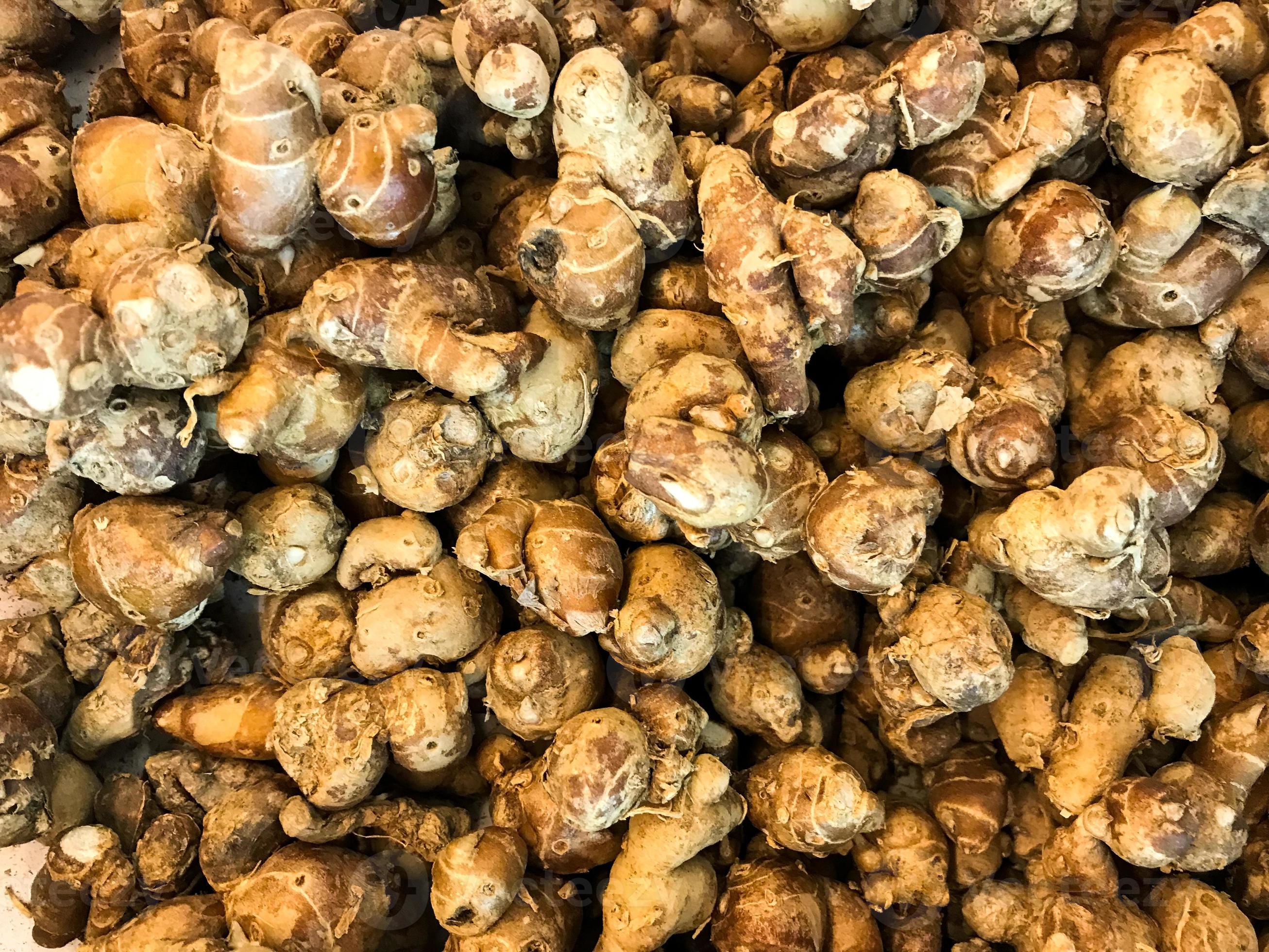 Kencur Kaempferia Galanga is one of the Indonesian spices that has efficacy as herbal medicine ...