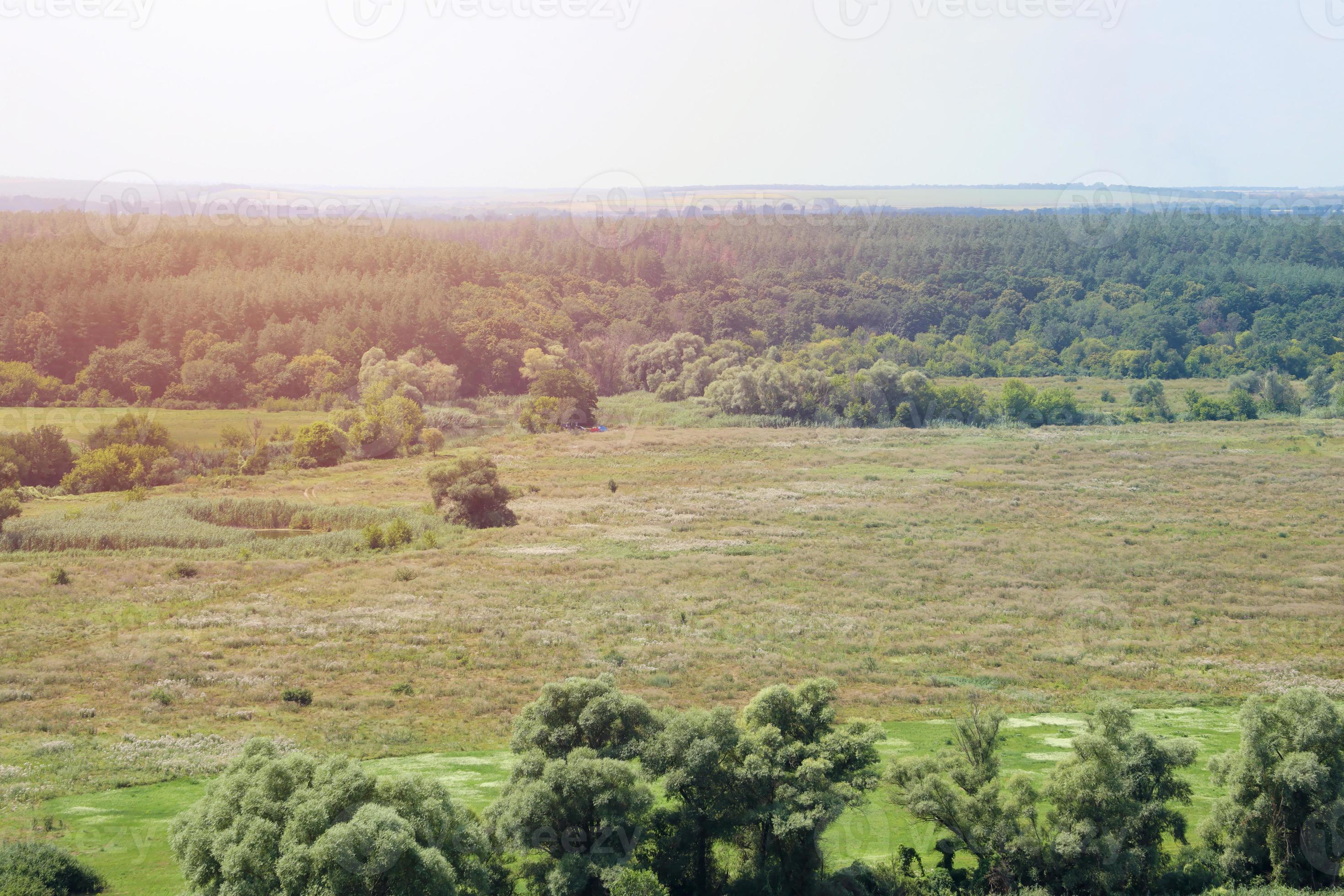 Sunny spring morning on meadow with trees 20221917 Stock Photo at Vecteezy