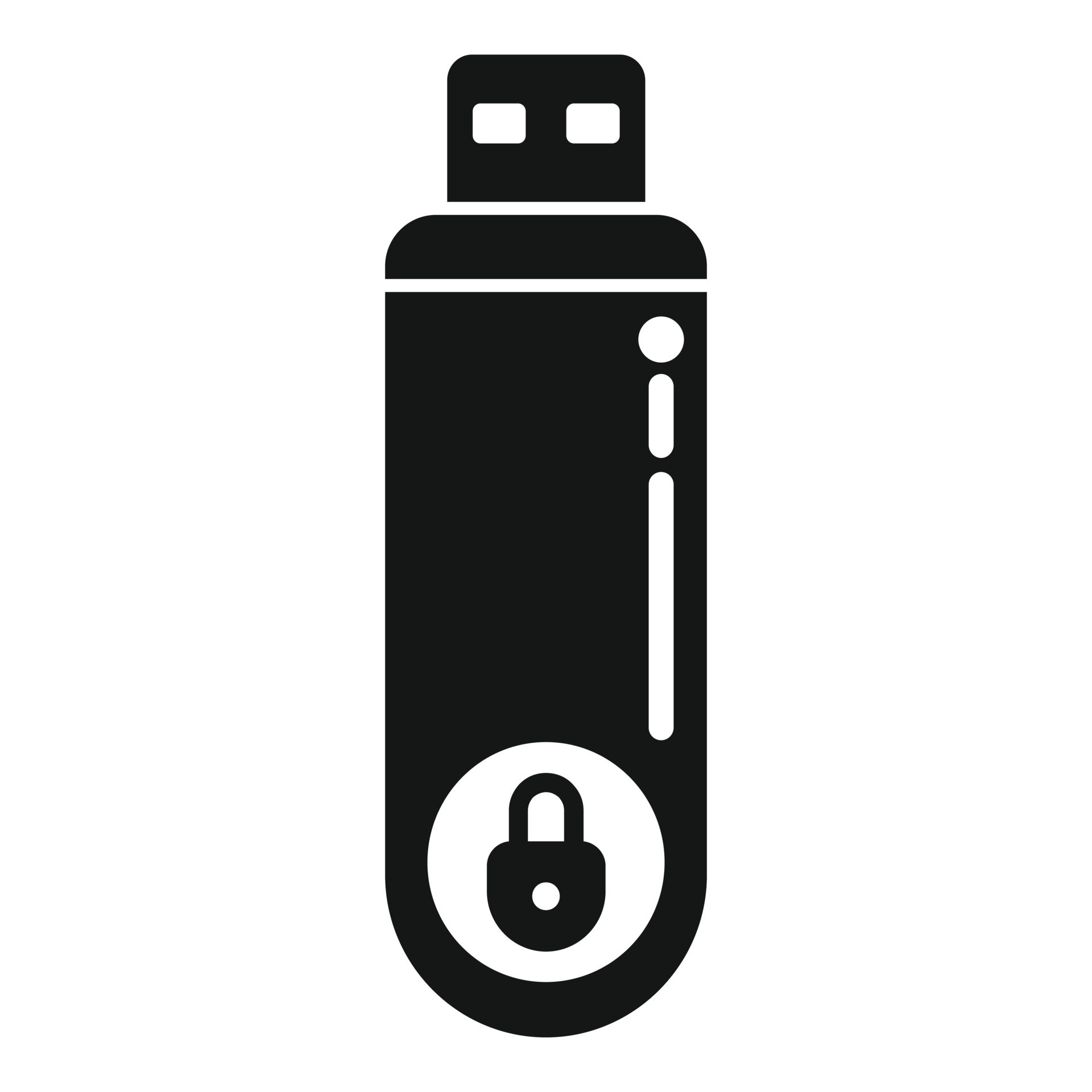 Usb Password Protection Icon Simple Vector Personal Login 20248573