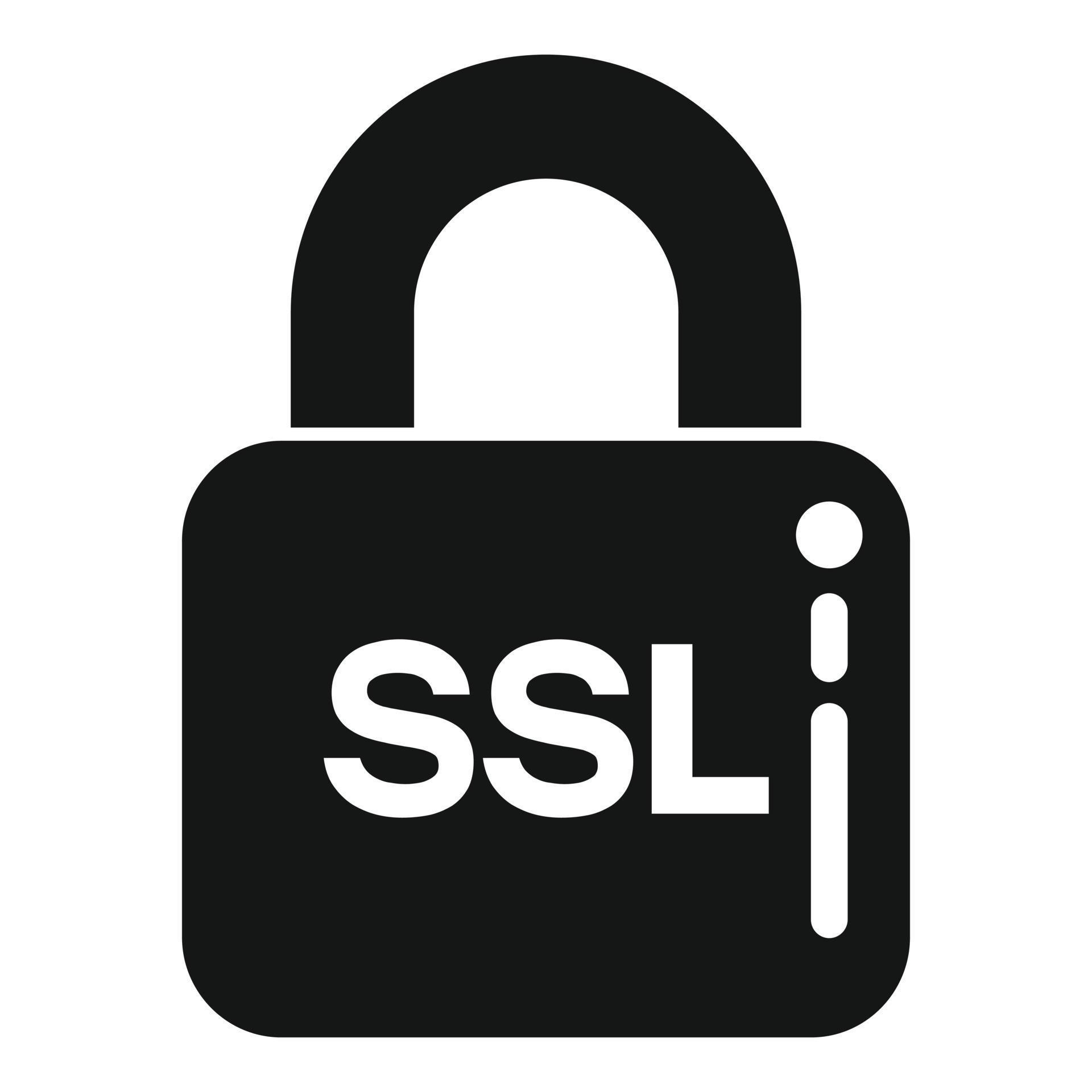 SSL certificate padlock icon simple vector. Network security 20248677 Vector Art at Vecteezy