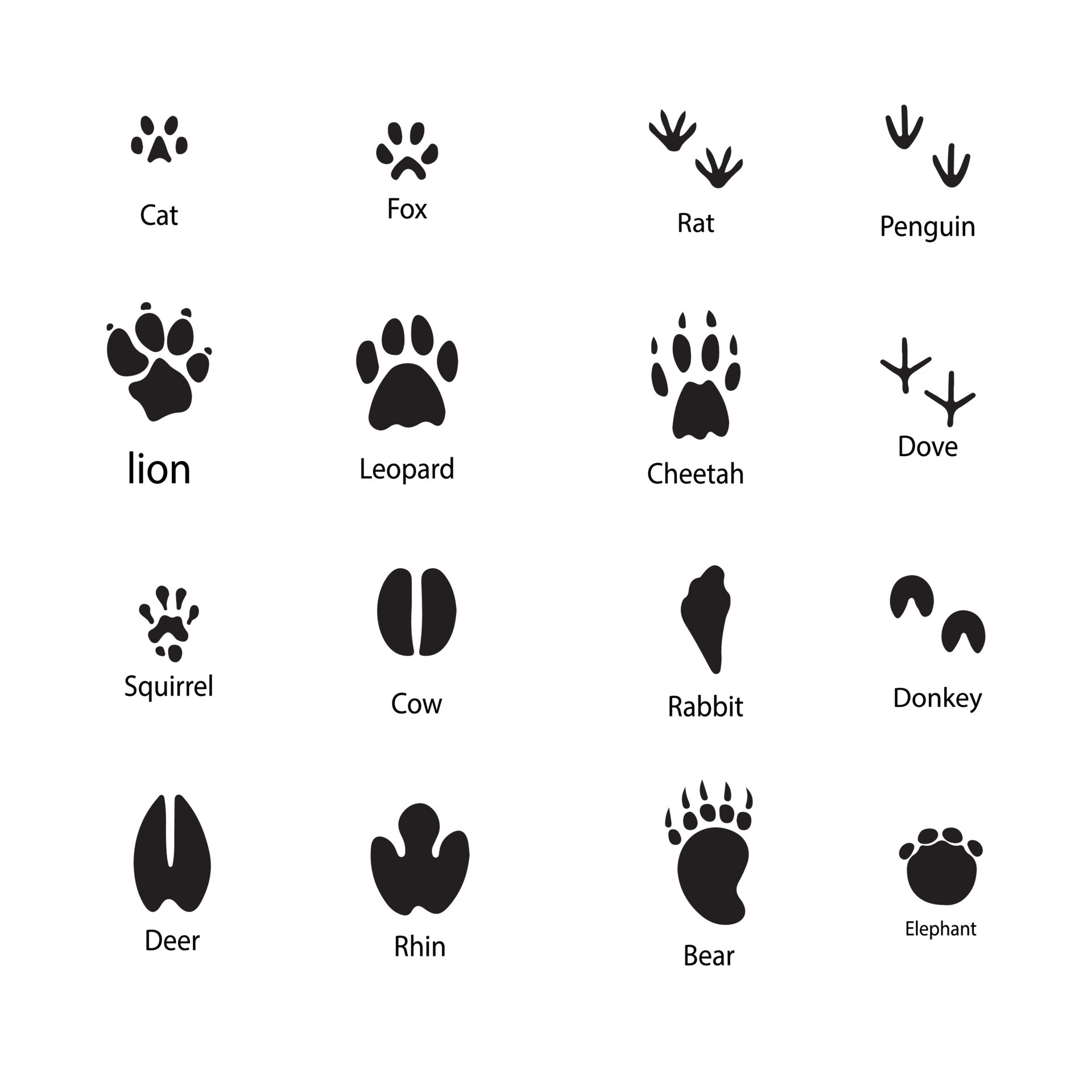 Set of Footprints of Birds and Animals Pro Vector 20273306 Vector Art ...