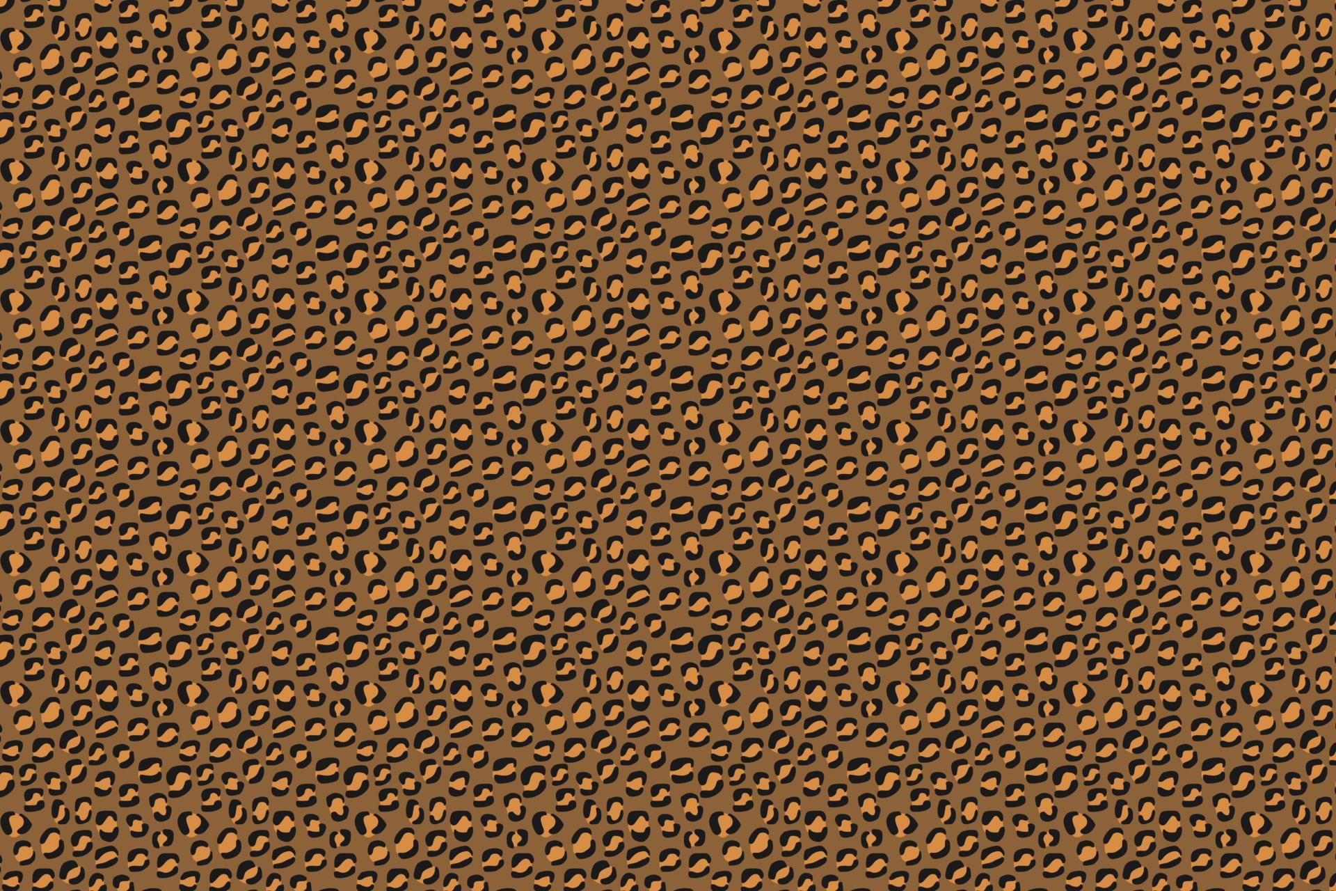 leopard skin pattern 20372501 Vector Art at Vecteezy