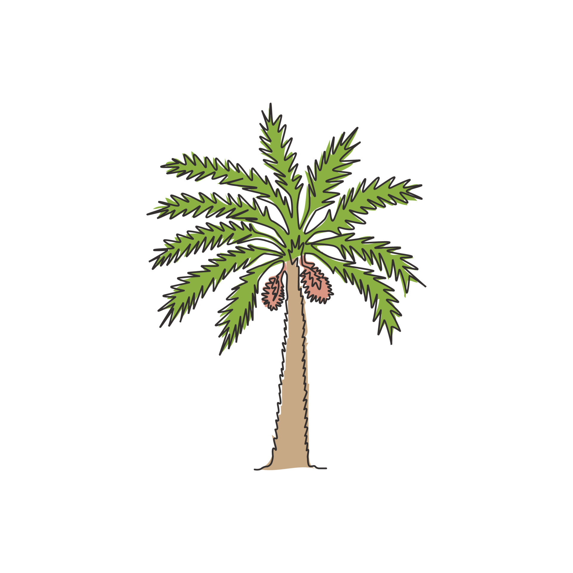Date Palm Tree Outline