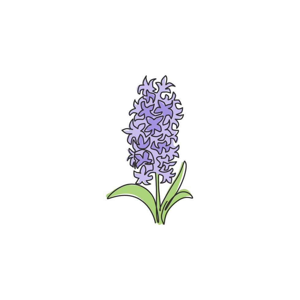 Single Continuous Line Drawing Beauty Fresh Hyacinthus For Home Decor
