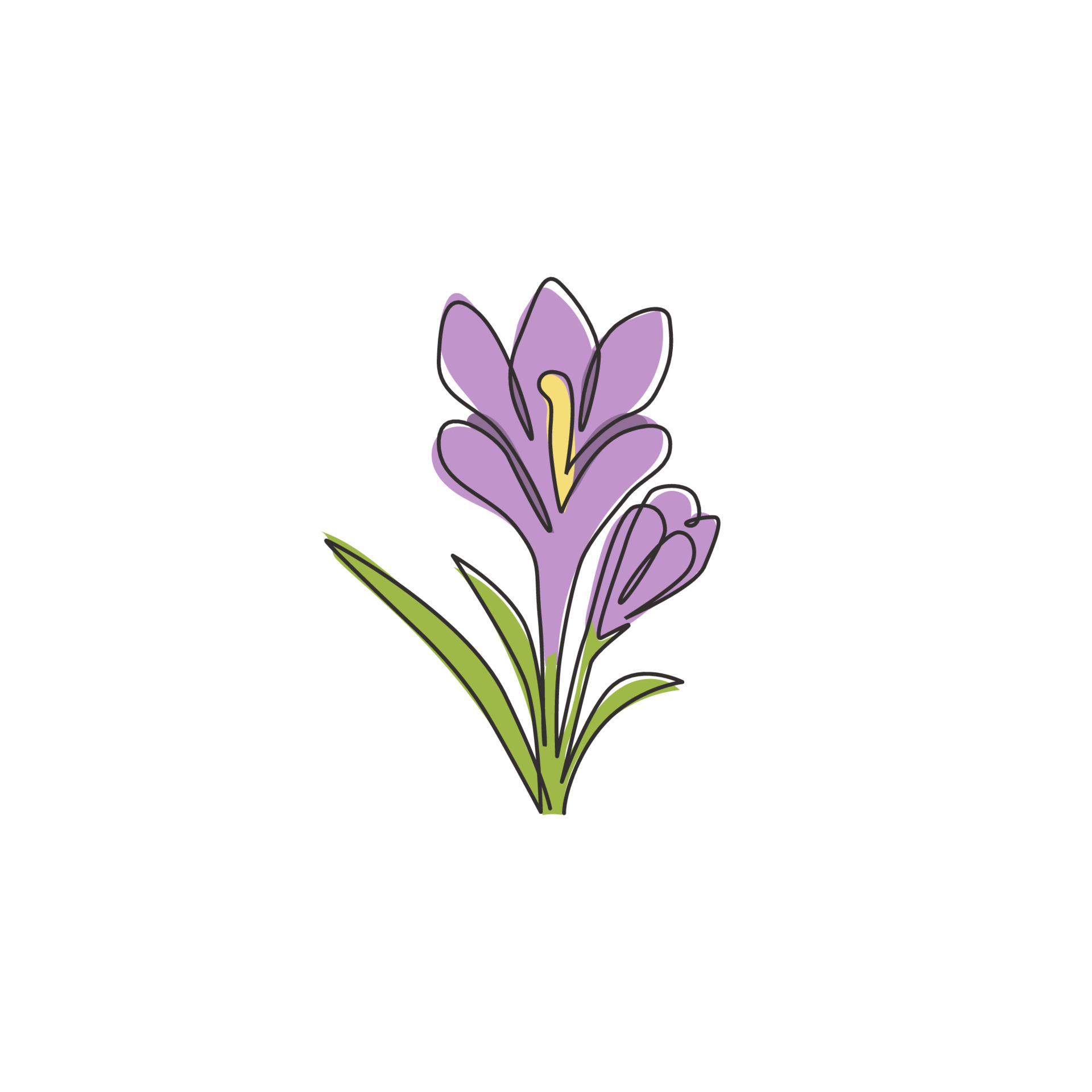 Single Continuous Line Drawing Of Beauty Fresh Croci For Home Wall Art